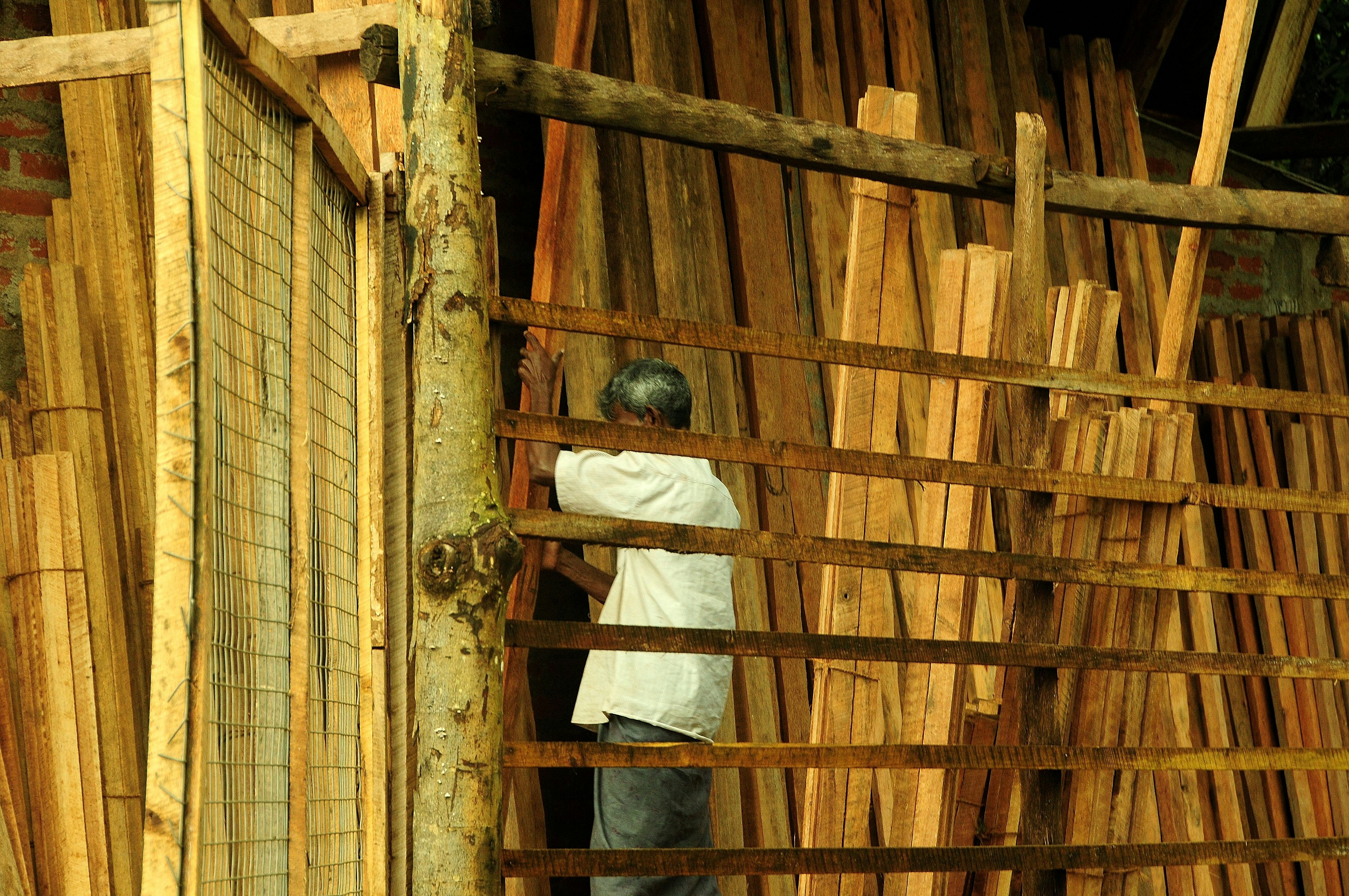 Between Slats: A Quiet Worker in a Timber Workshop