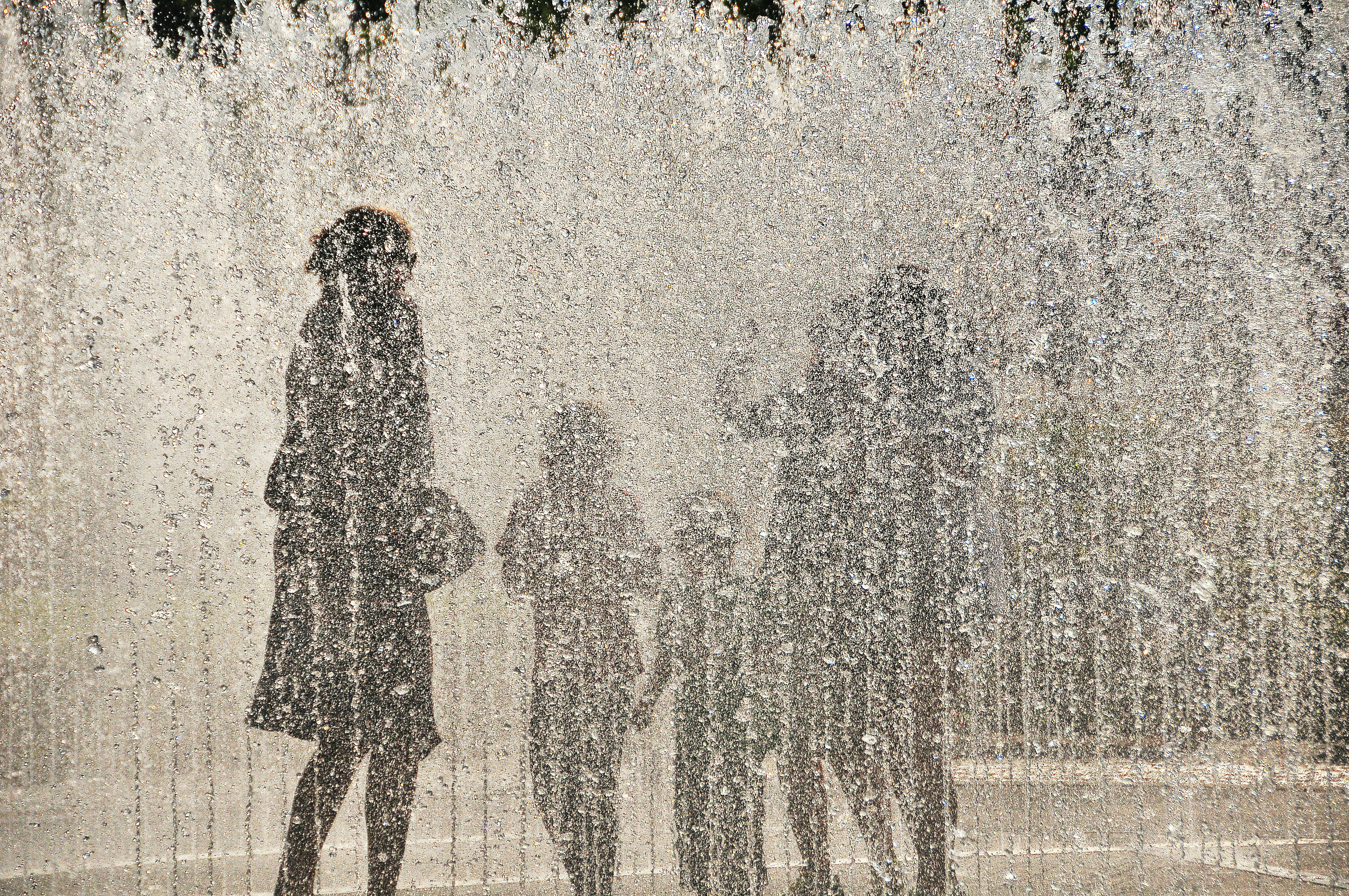 Silhouettes in a Mist of Water and Light