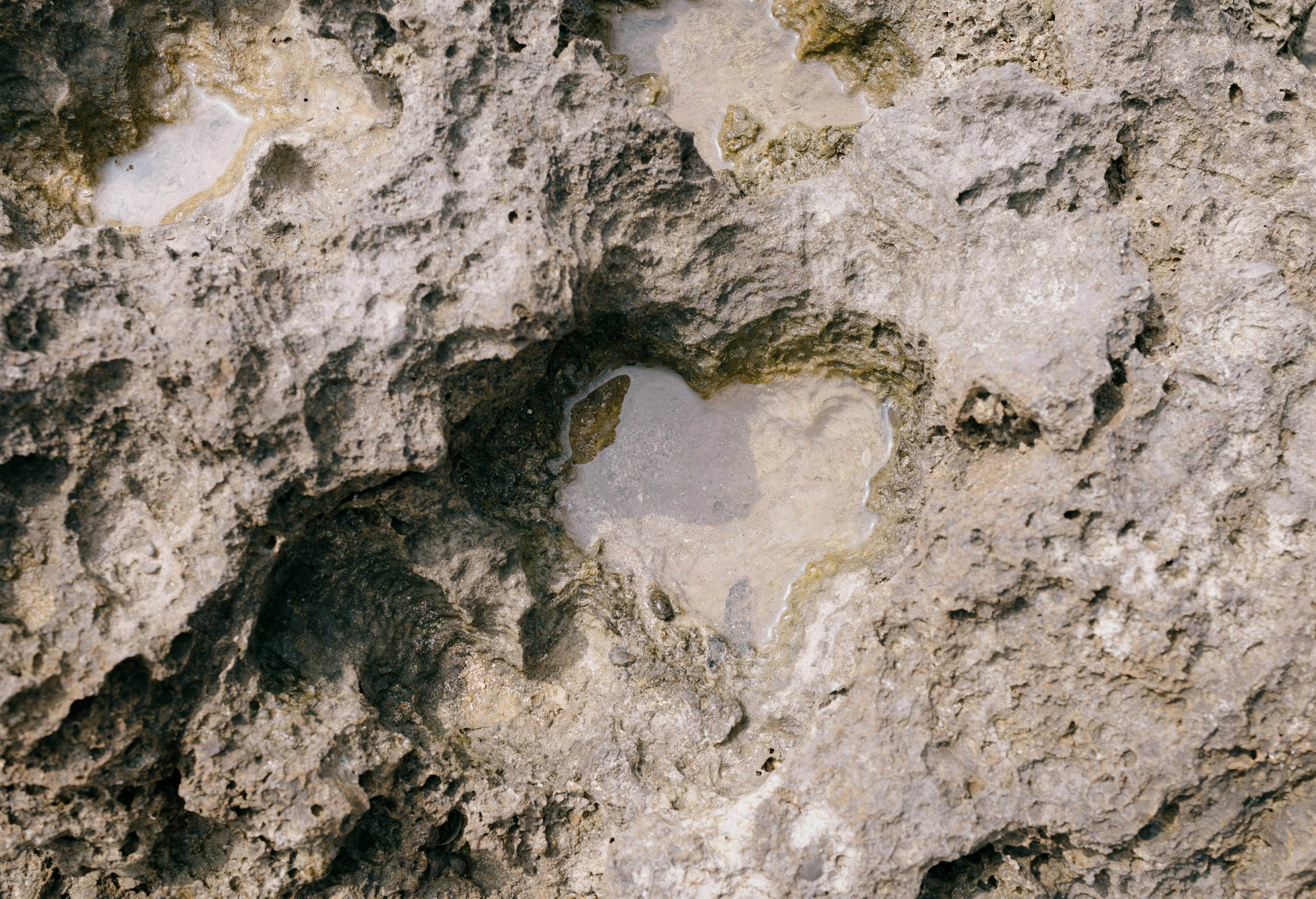 Weathered Limestone Canvas: Subtle Erosion Patterns in Sunlit Rock