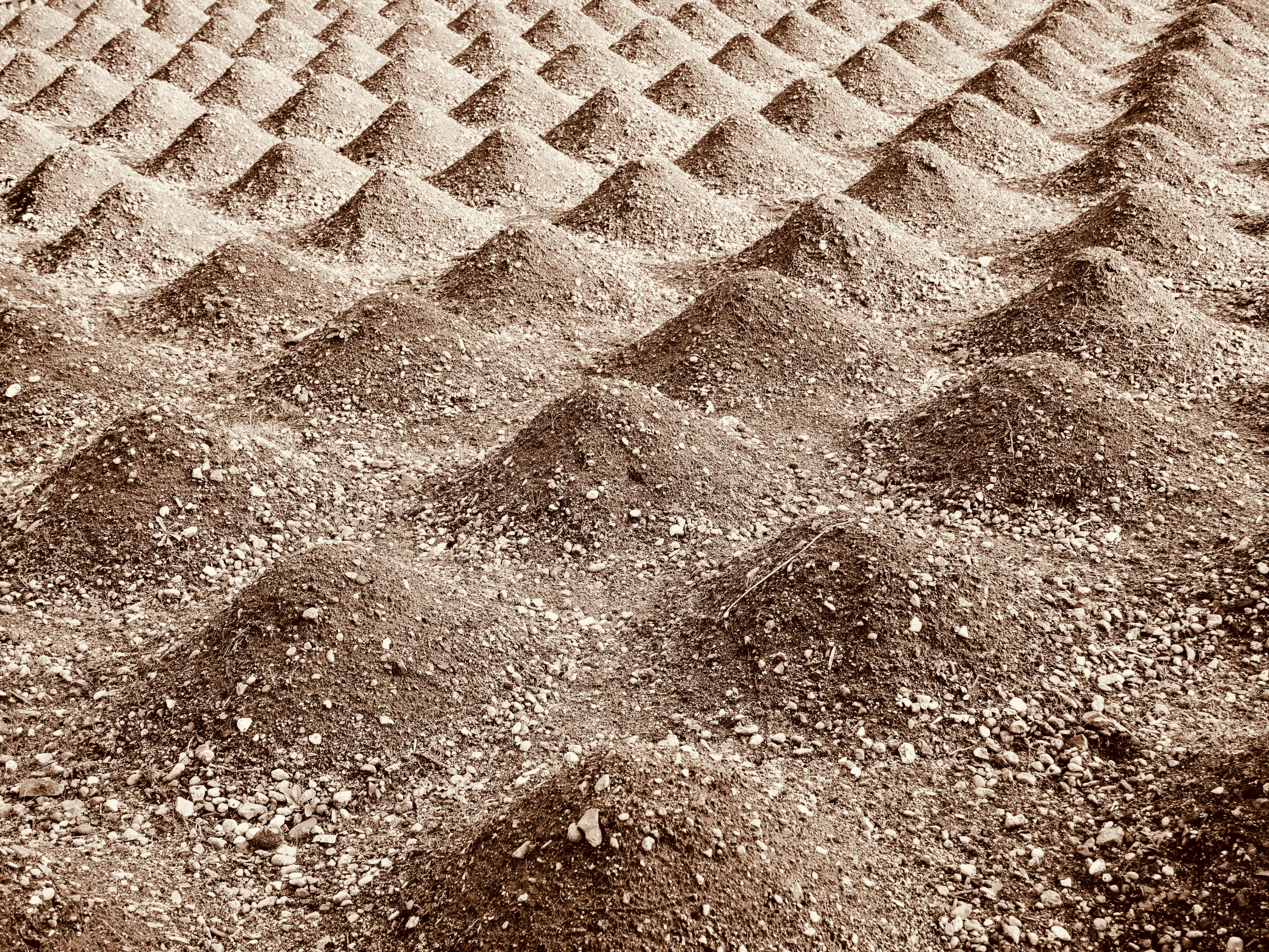 Close-up view of uniformly spaced sand dunes creating a patterned texture across the ground in warm sepia tones. The image emphasizes repetitive peaks and gritty detail in a minimal landscape.