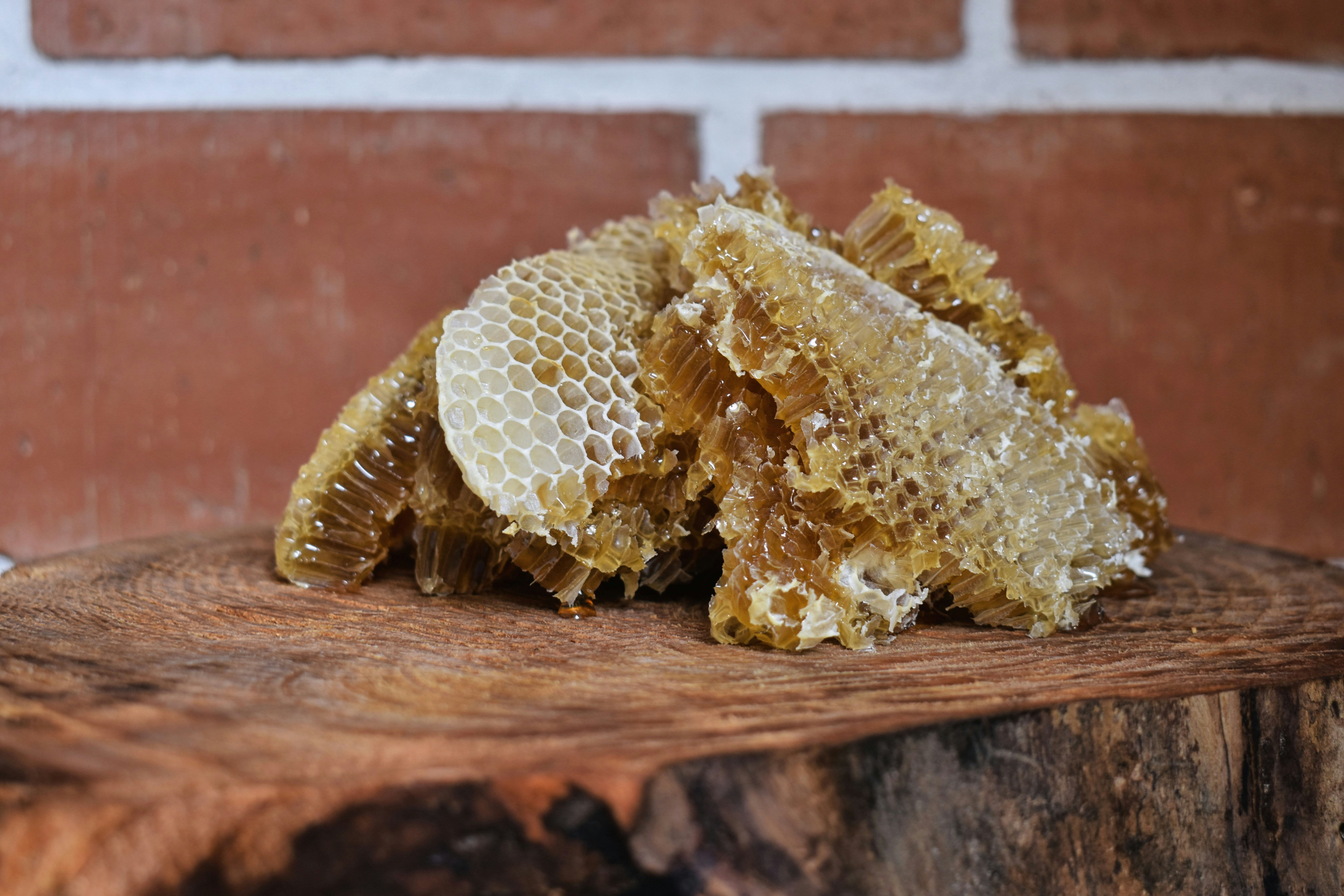 Honeycomb on Weathered Wood: Textures Meet Brick Background