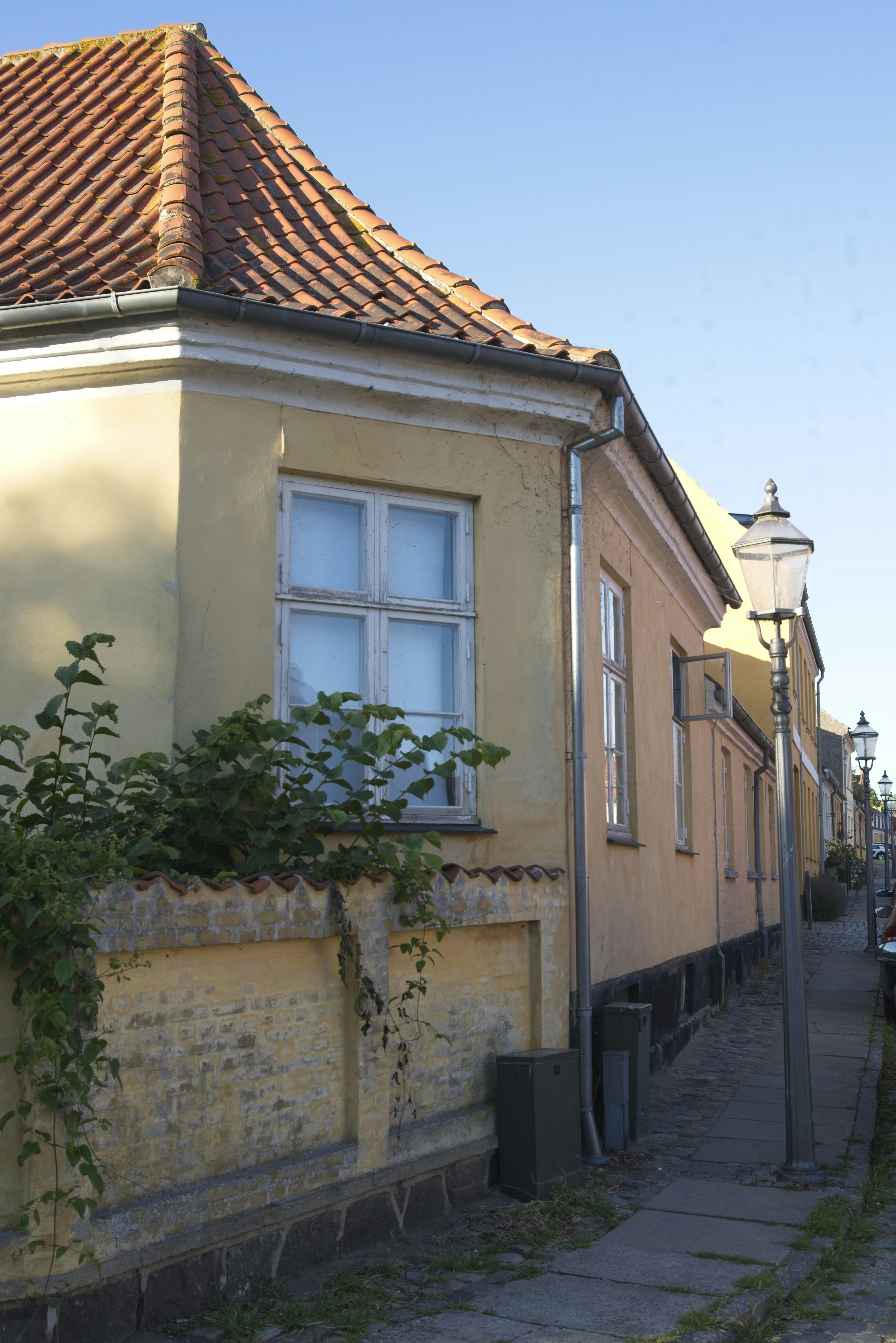 Sunlit yellow townhouse with ivy on a quiet street