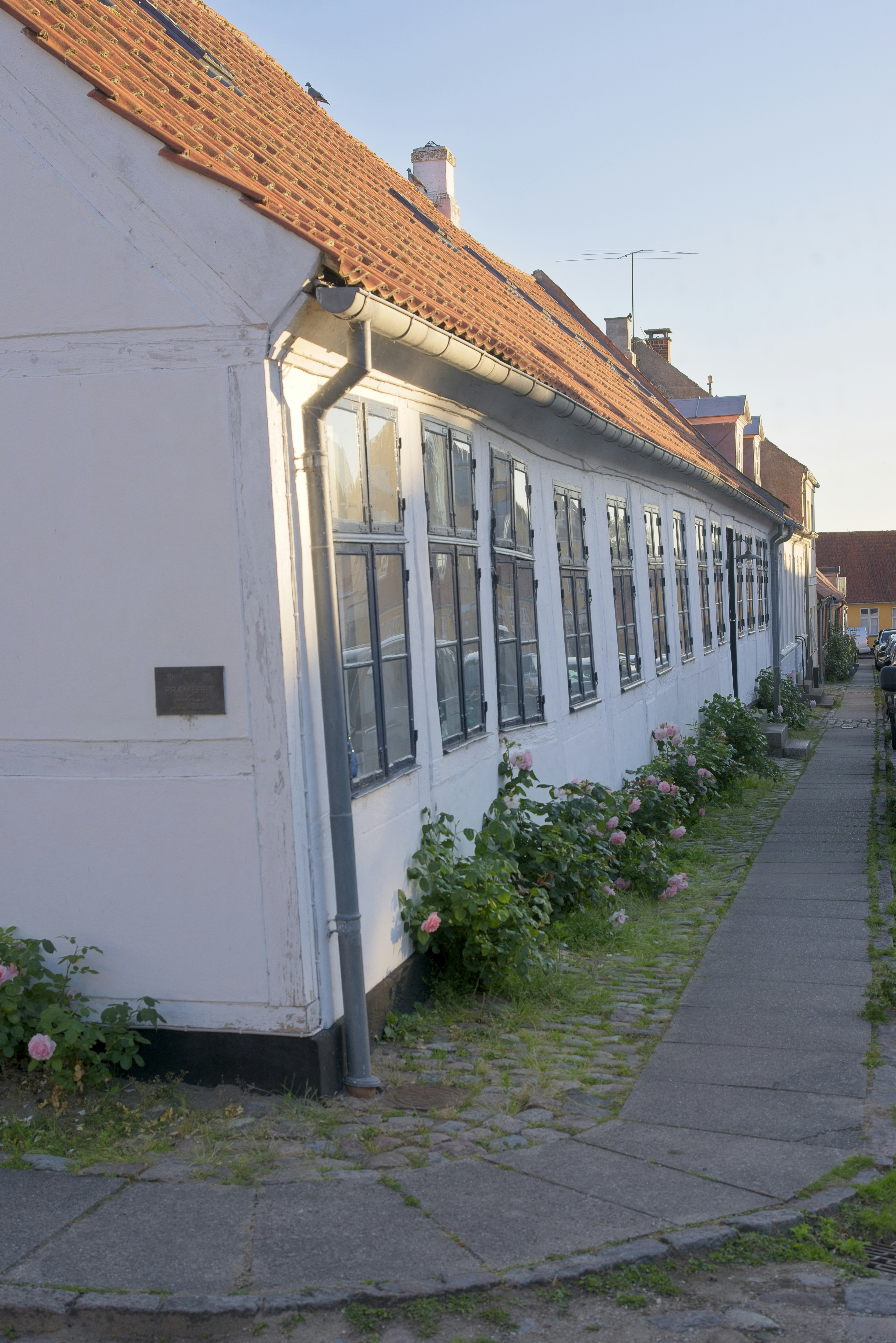 Sunlit Riverside Row: A Quiet Tide of Windows and Roses