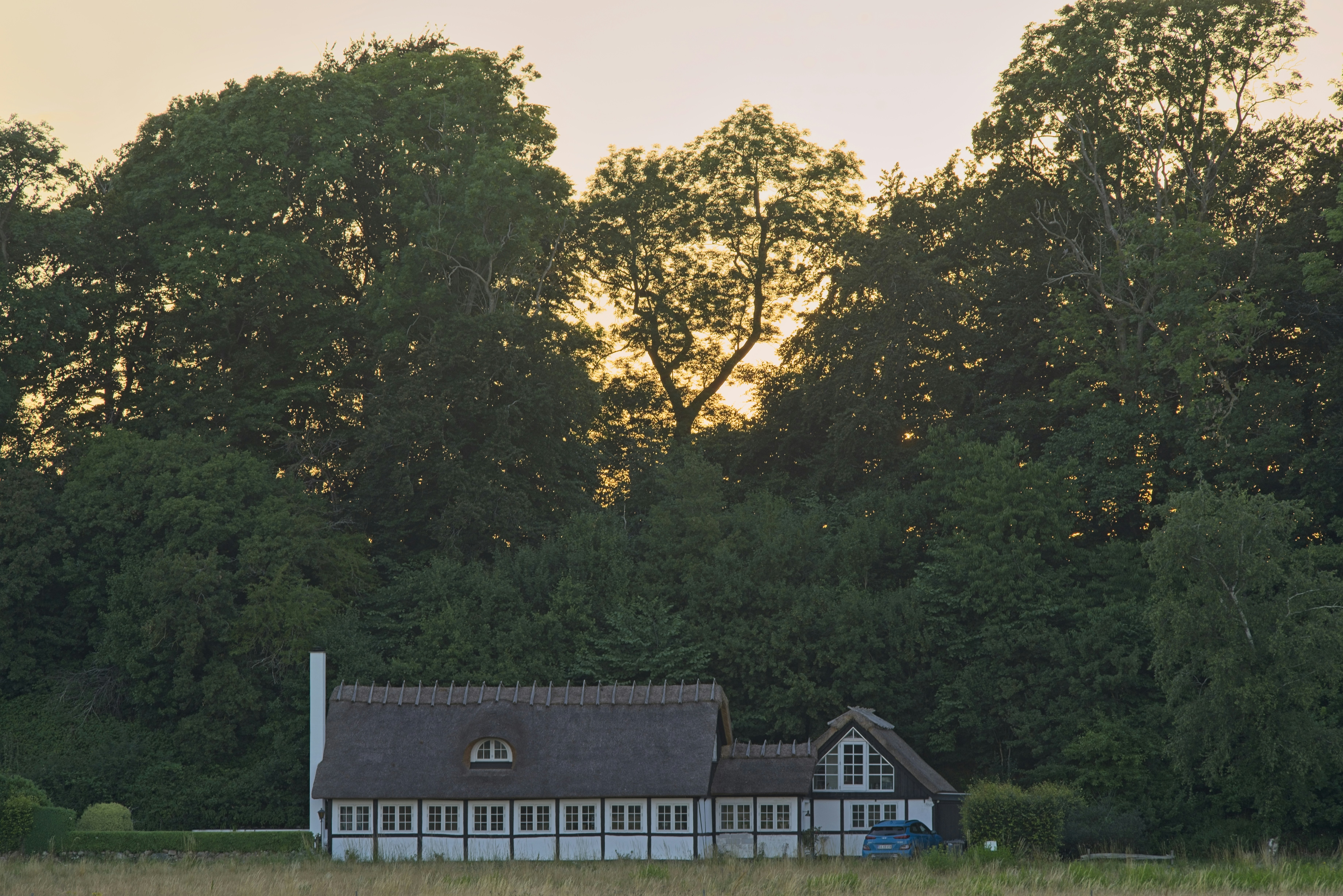 A traditional half-timbered thatched-roof farmhouse sits nestled at the edge of a tree line near Præstø, its long white walls and dark timber framing glowing softly as the setting sun filters through the trees behind it. A single tall chimney rises from the thatch, and a small blue car is parked near the entrance. The deep green canopy and warm, fading light create a serene, almost storybook atmosphere. This peaceful rural scene captures the quiet charm of traditional Danish farmhouse architecture on a hot July evening.