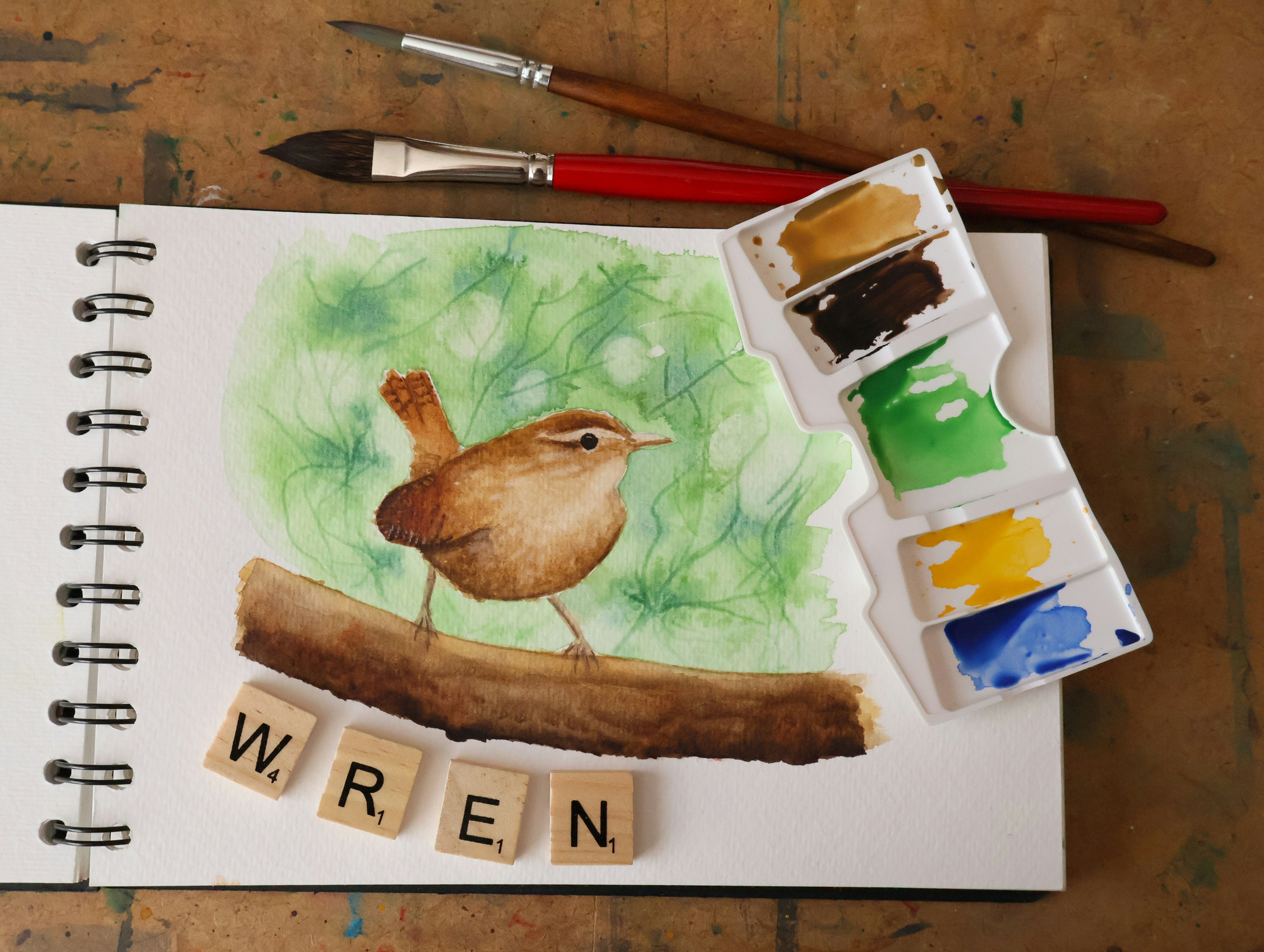 Wren on a Twig: A Watercolor Pause
