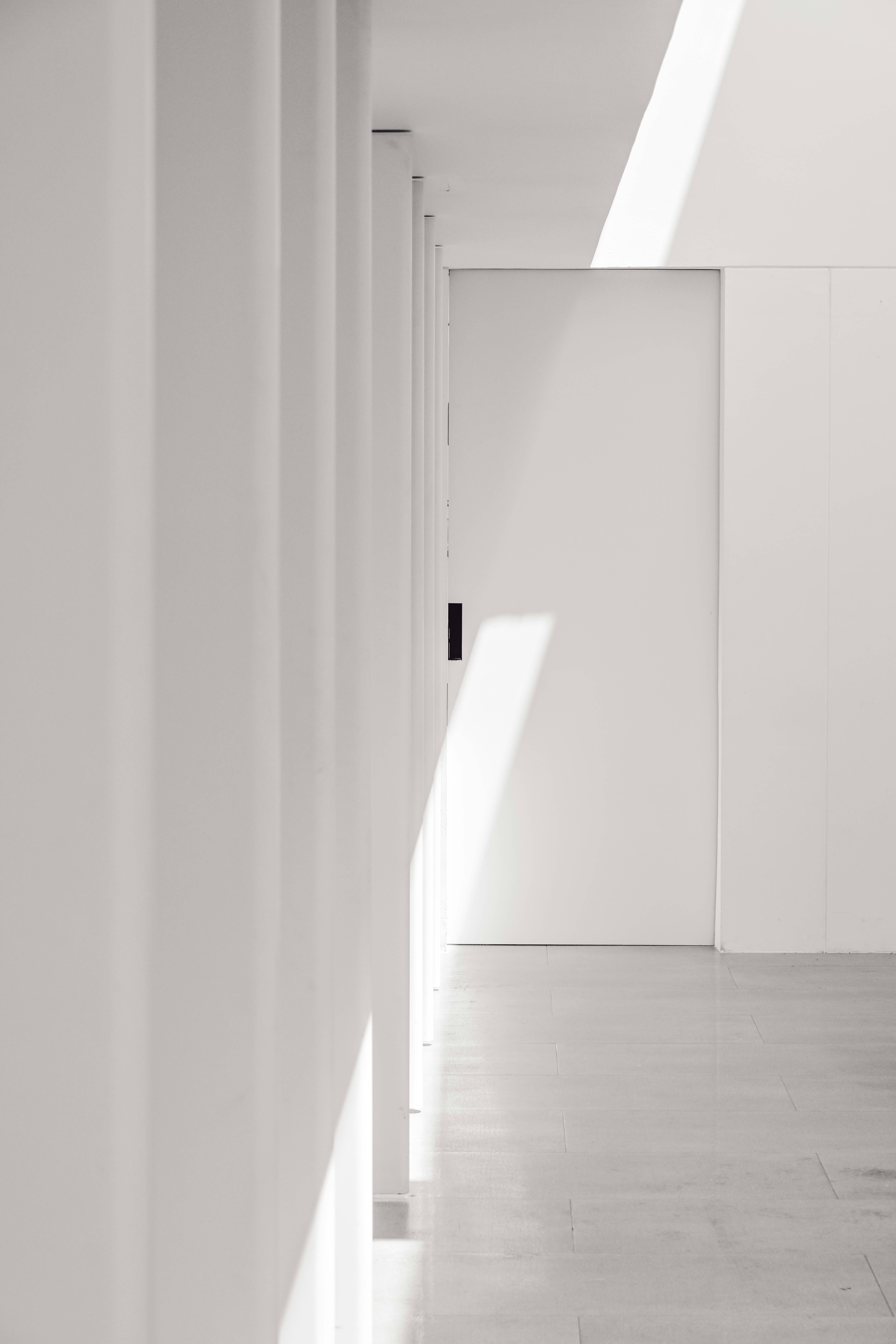 Soft Geometry: Light Strands in a Monochrome Corridor