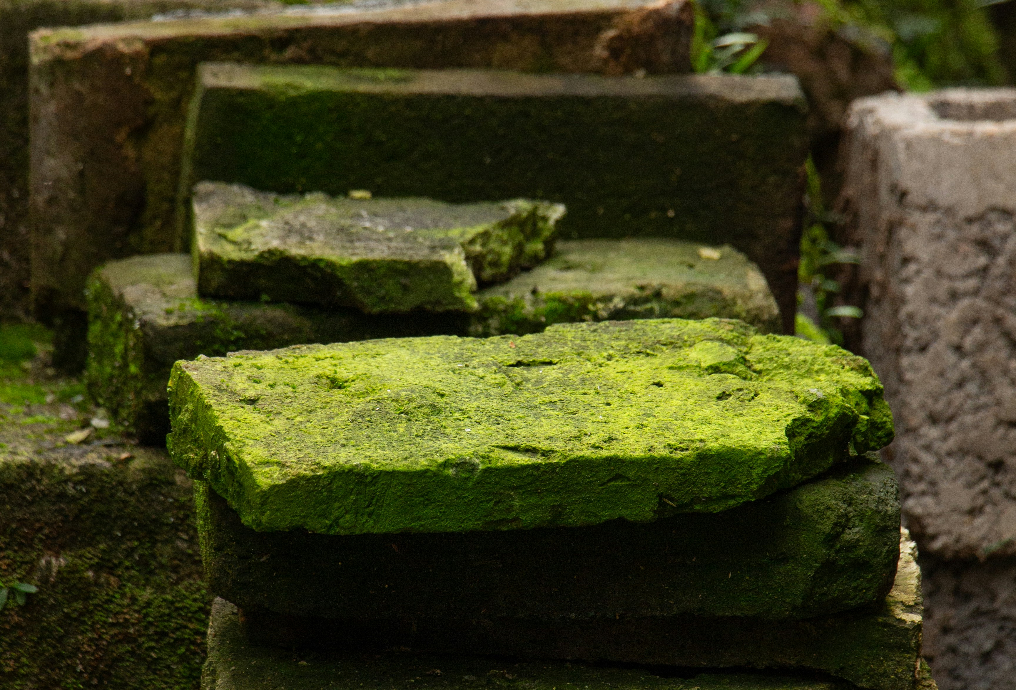 Moss-Chequered Dusk: Moss-Capped Bricks in Quiet Decay