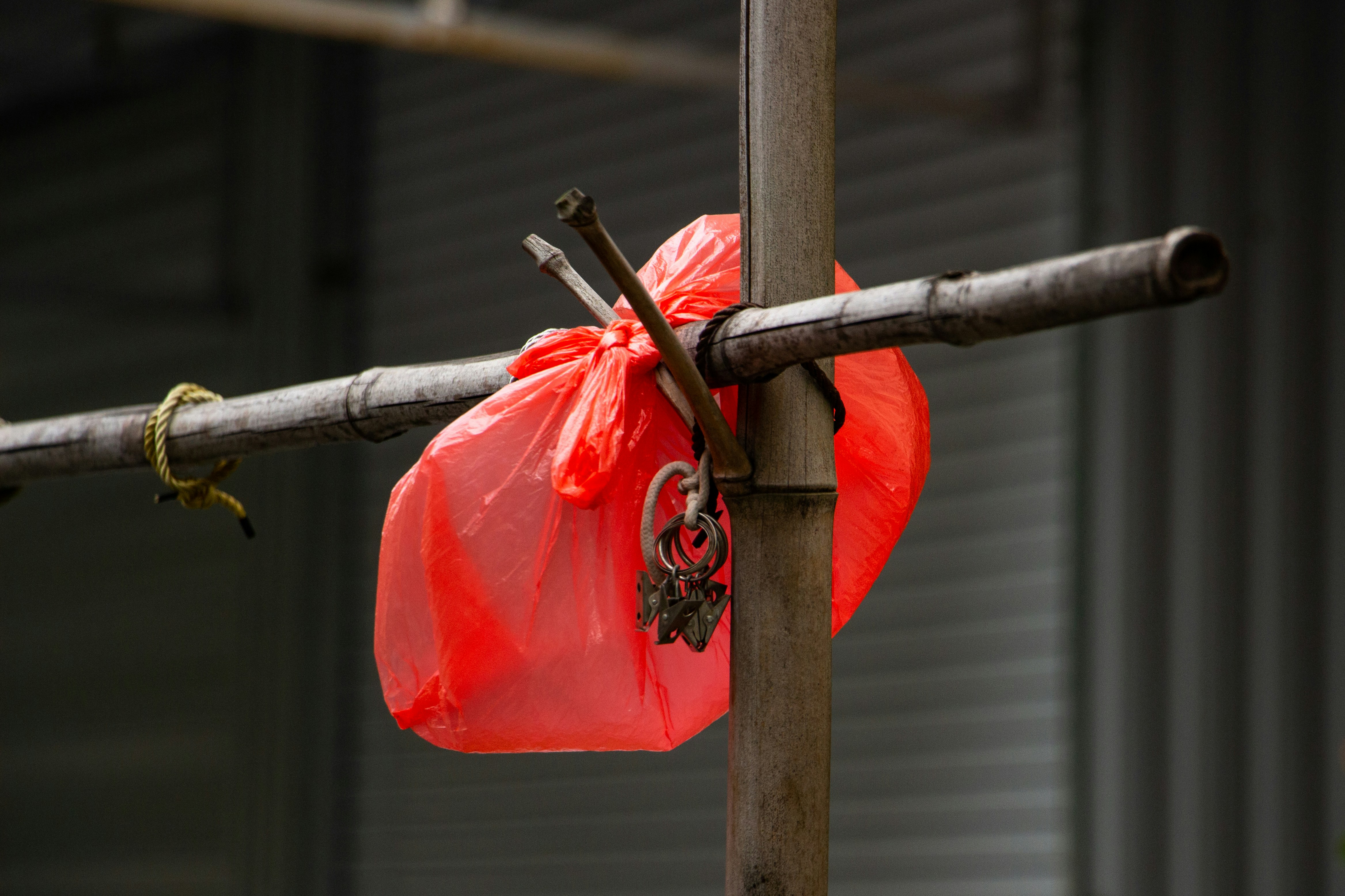 Scarlet pouch on weathered scaffolding: a close look at everyday resilience