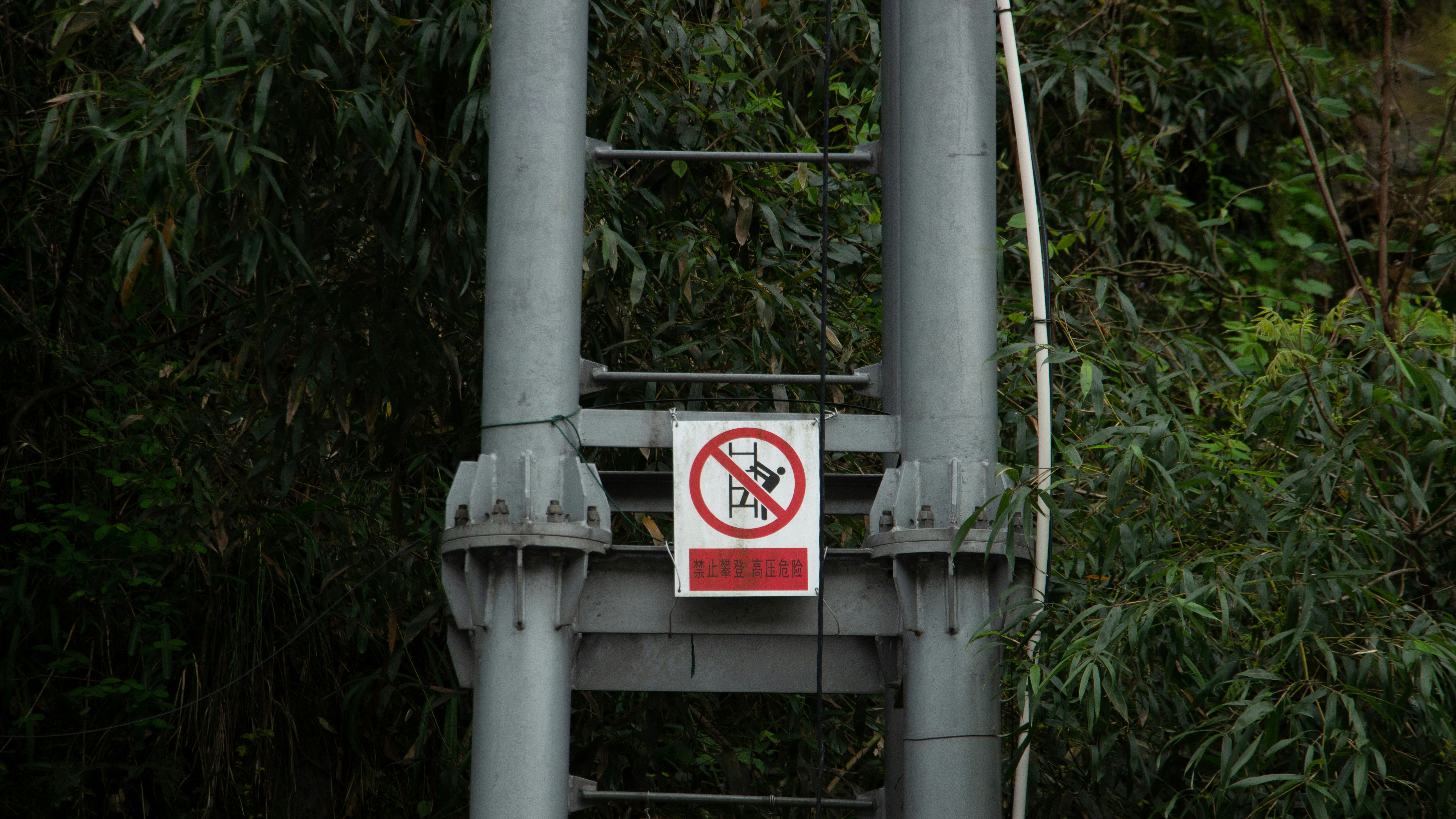 A white and red "No Climbing" sign, featuring a stick figure falling from a ladder, is prominently displayed on a grey utility pole. The sign also includes Chinese characters that translate to "No Climbing, High Voltage Danger." The pole is set against a dense background of dark green foliage, likely bamboo, creating a natural contrast with the man-made structure.