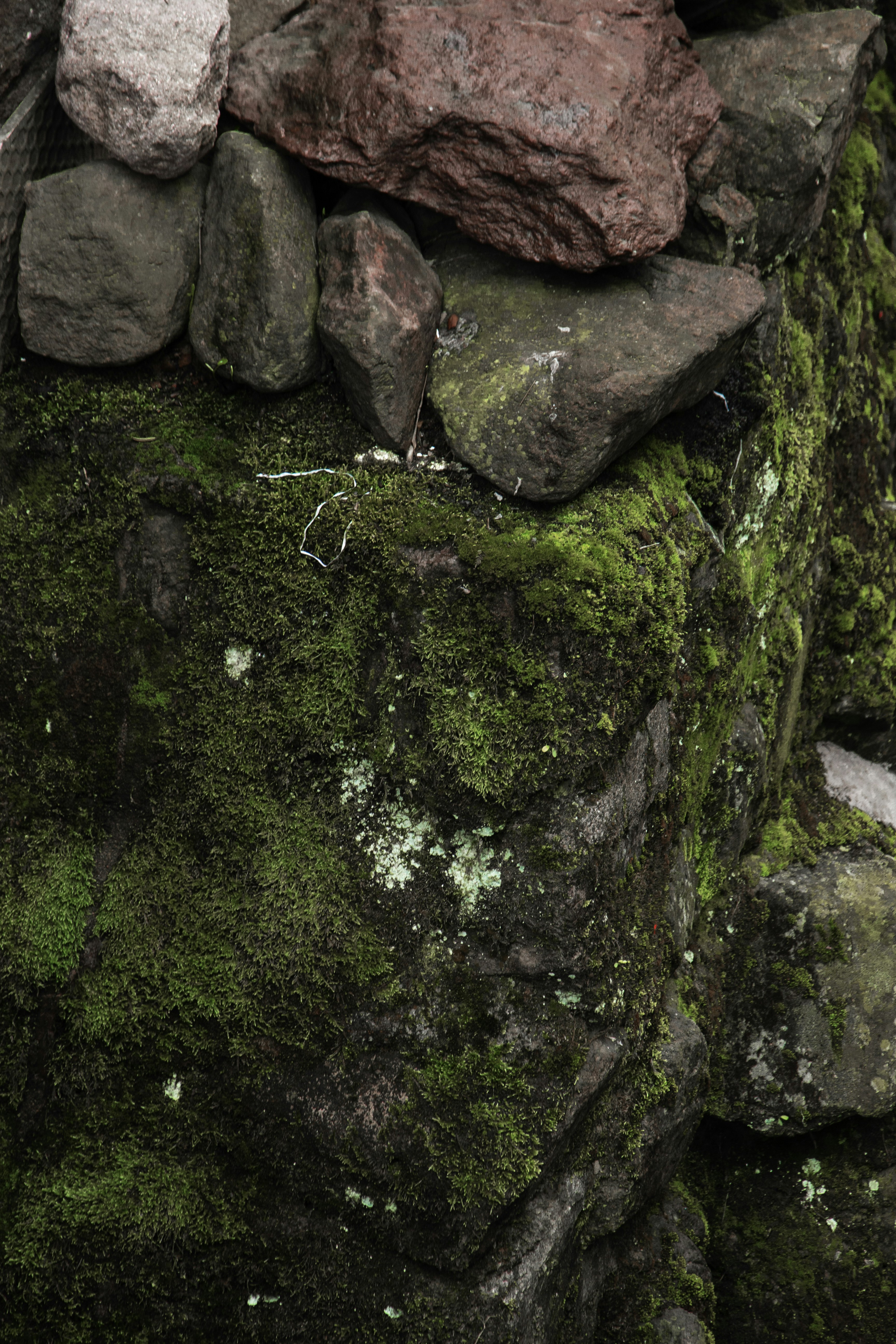 Moss-Clocked Stonework: A Quiet Wall in Green