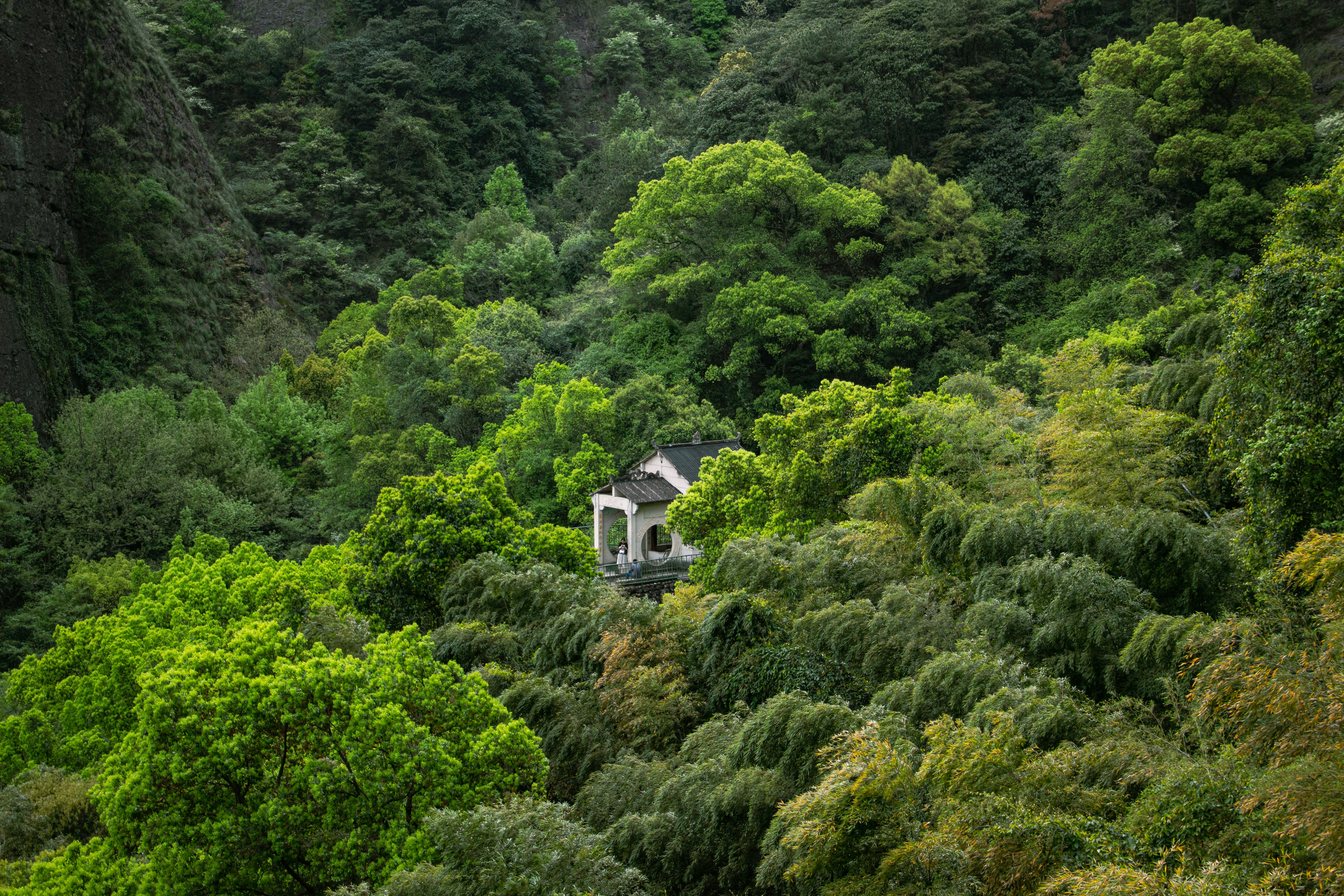 Moss‑green Clearing: A Secluded Pavilion Hidden in the Jungle