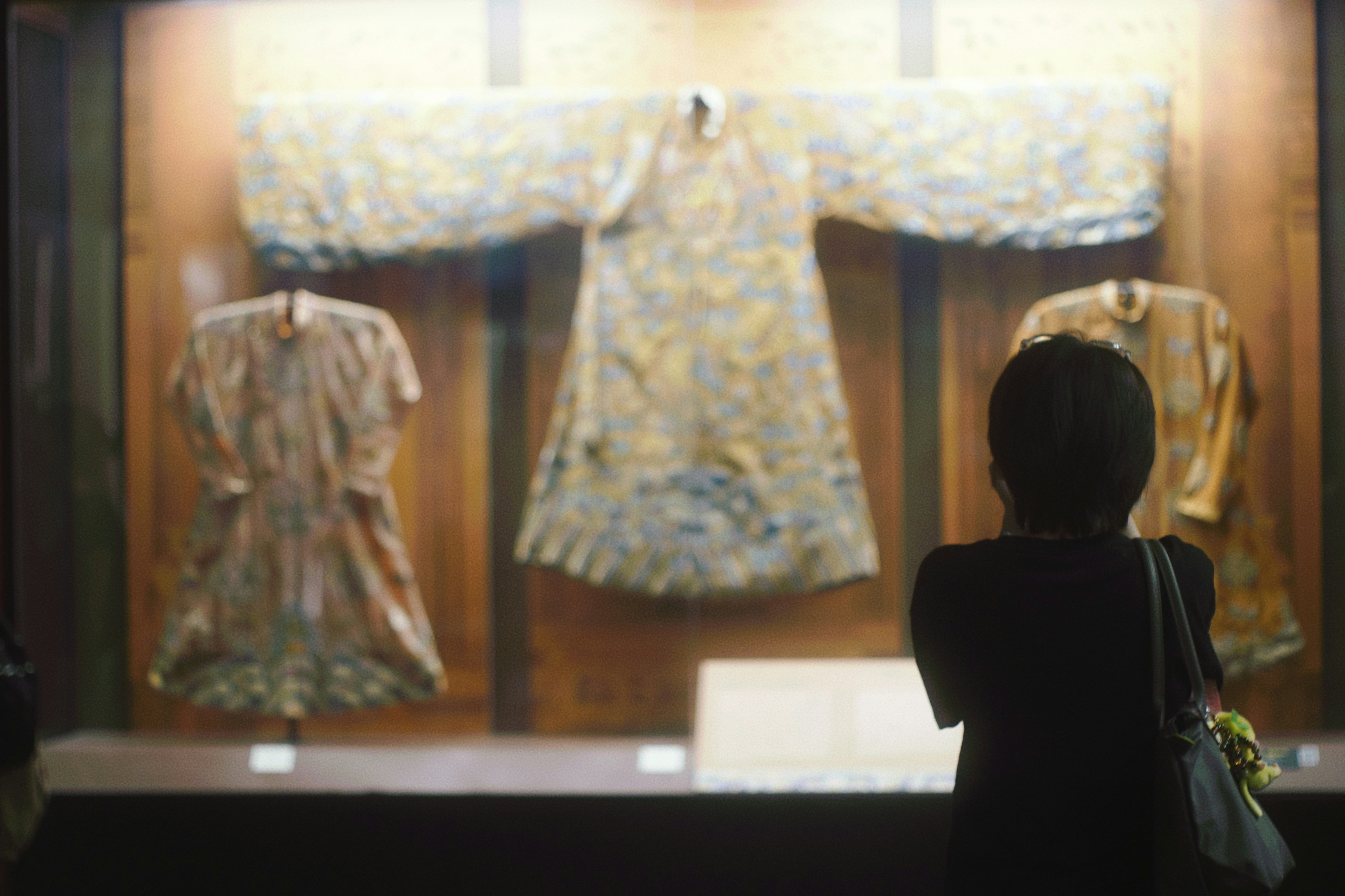 Gaze at the Curated Echo: A Visitor Frames a Silk Exhibit