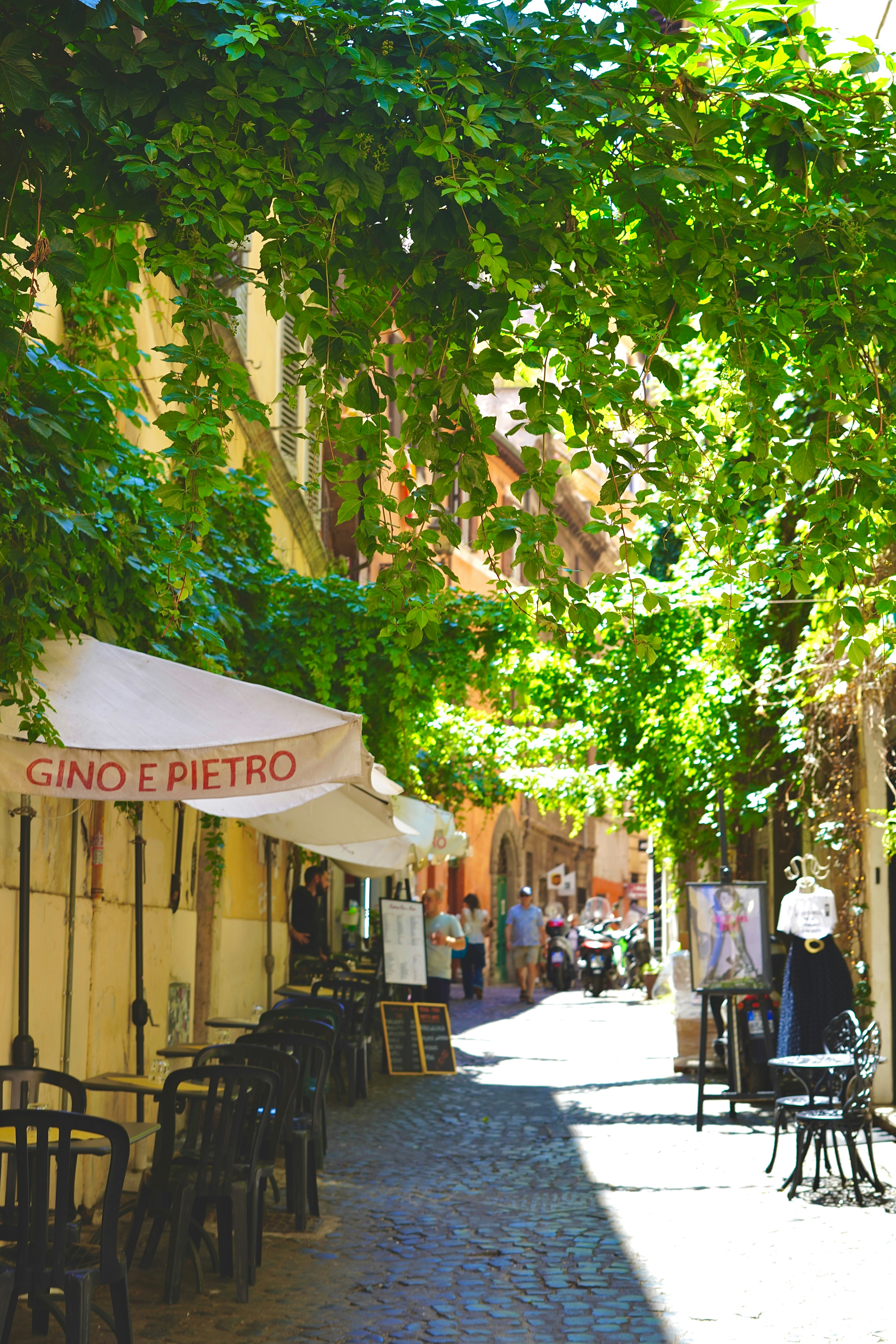 Shaded Calle: A Sunlit Terrace Framed by Verdant Vines
