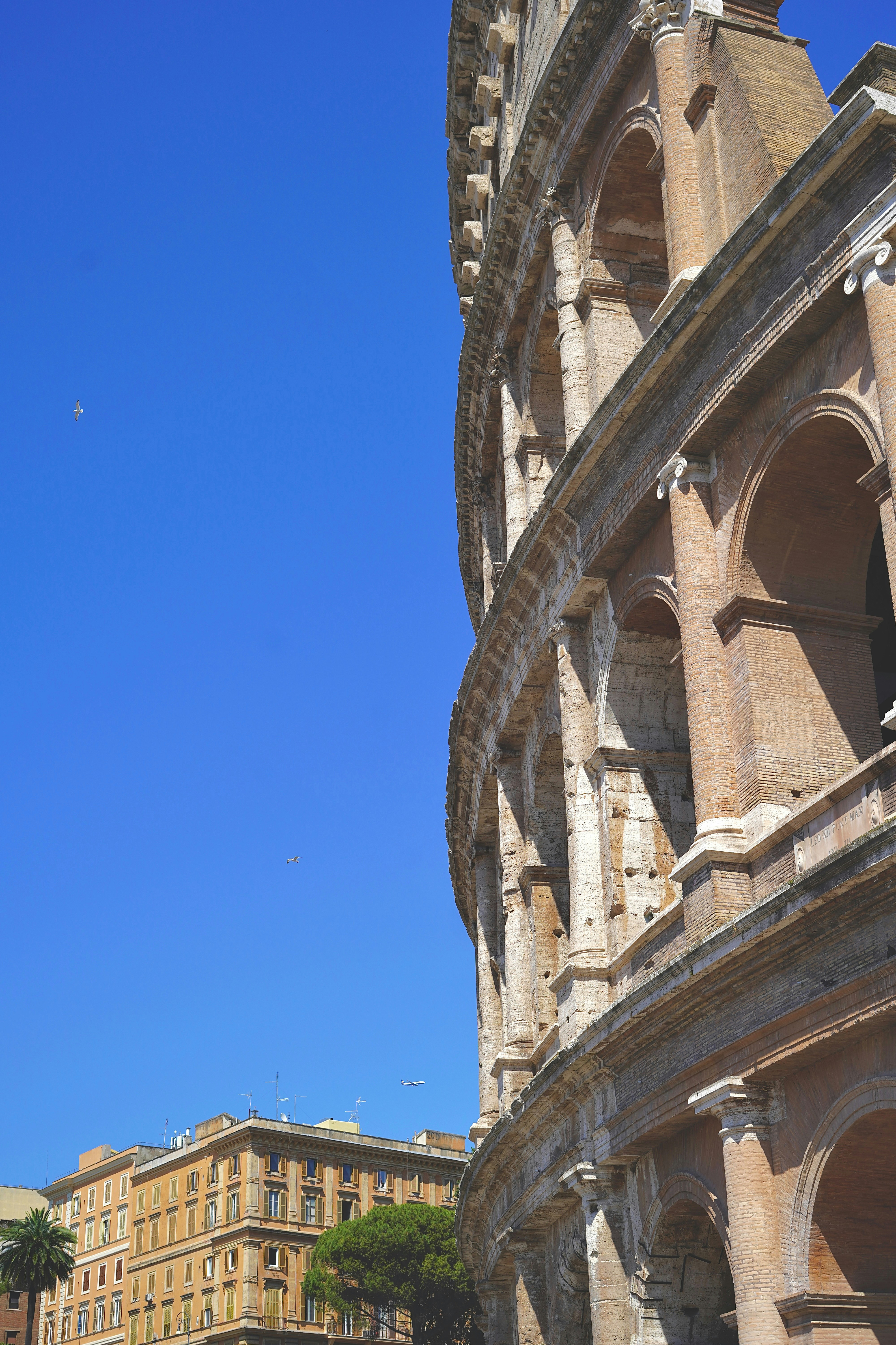 Coliseum Facade Reaches for the Sky