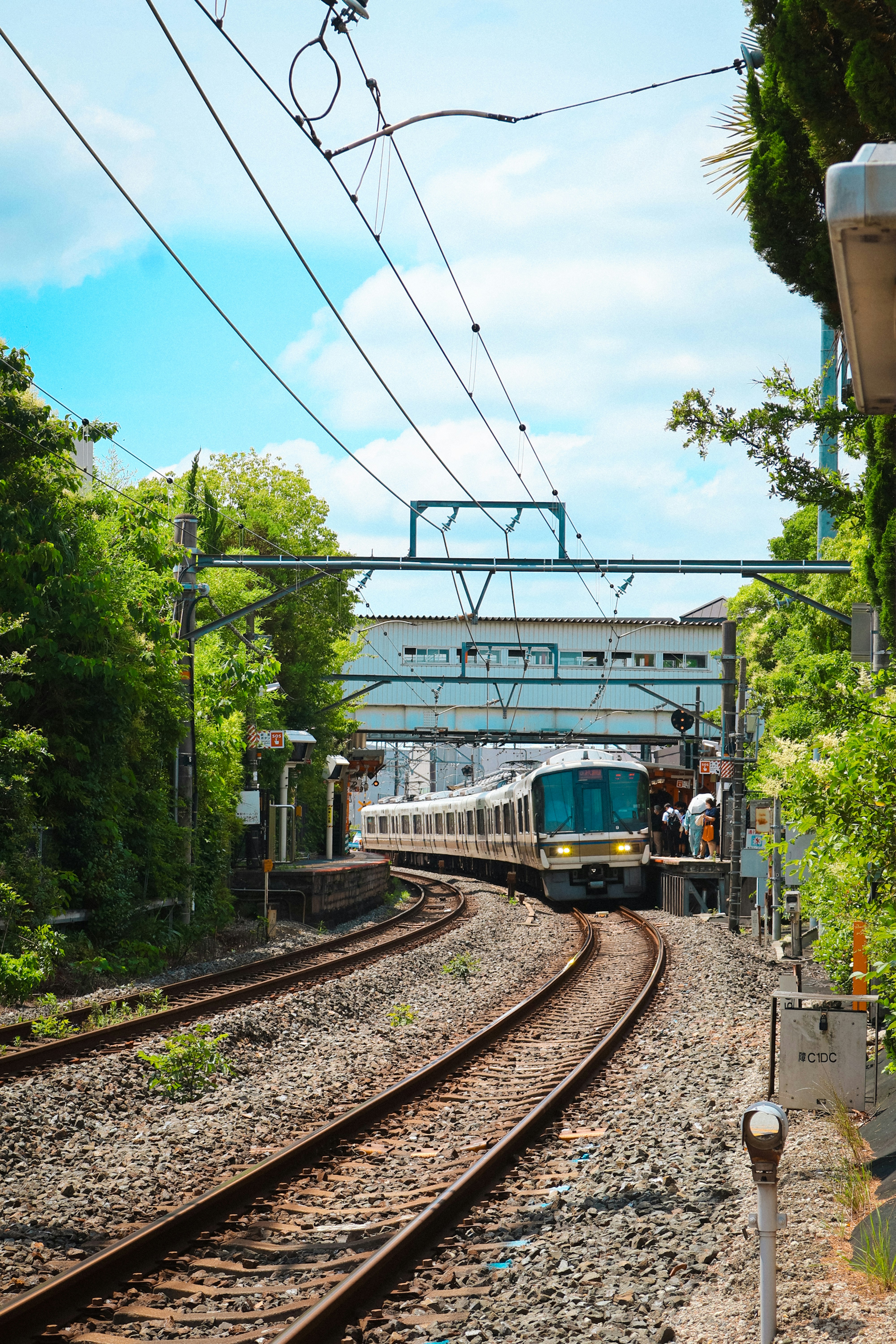 Rails into the Horizon: Commuter Train Winding Through a Lush Corridor