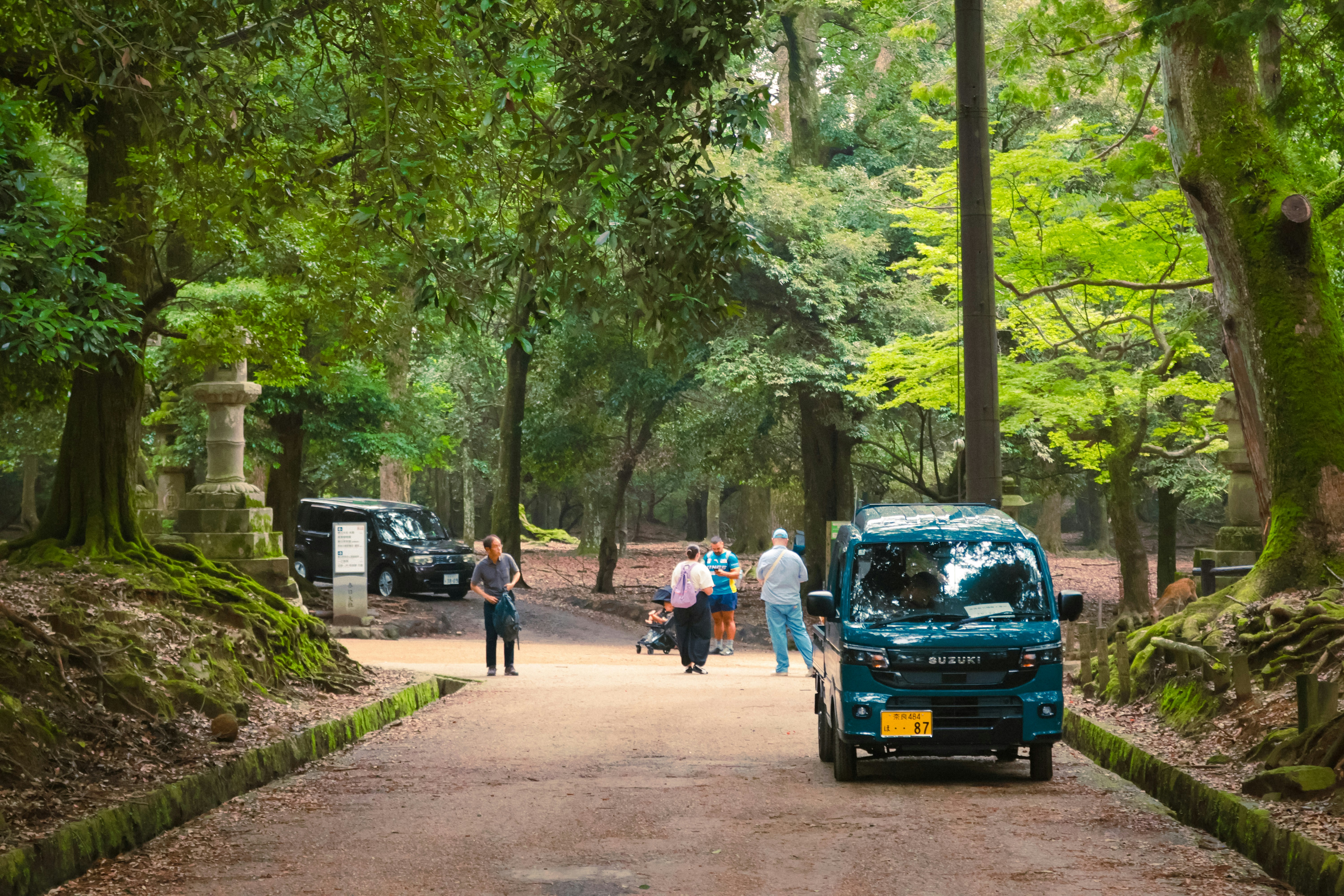 Park Pathway with Visiting Vehicles and Pedestrians