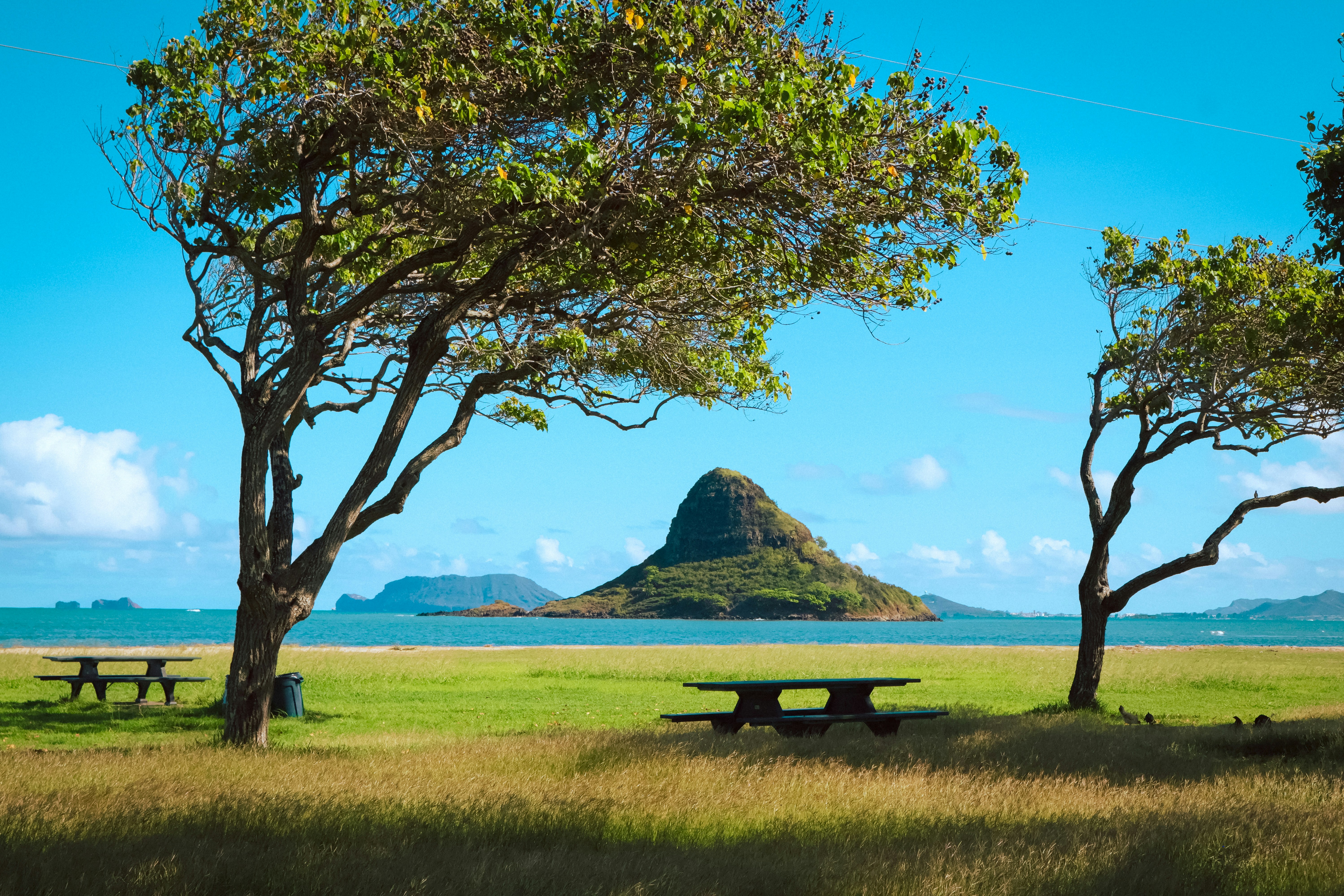 Island Echoes: A Quiet Park with a Conical Sentinel