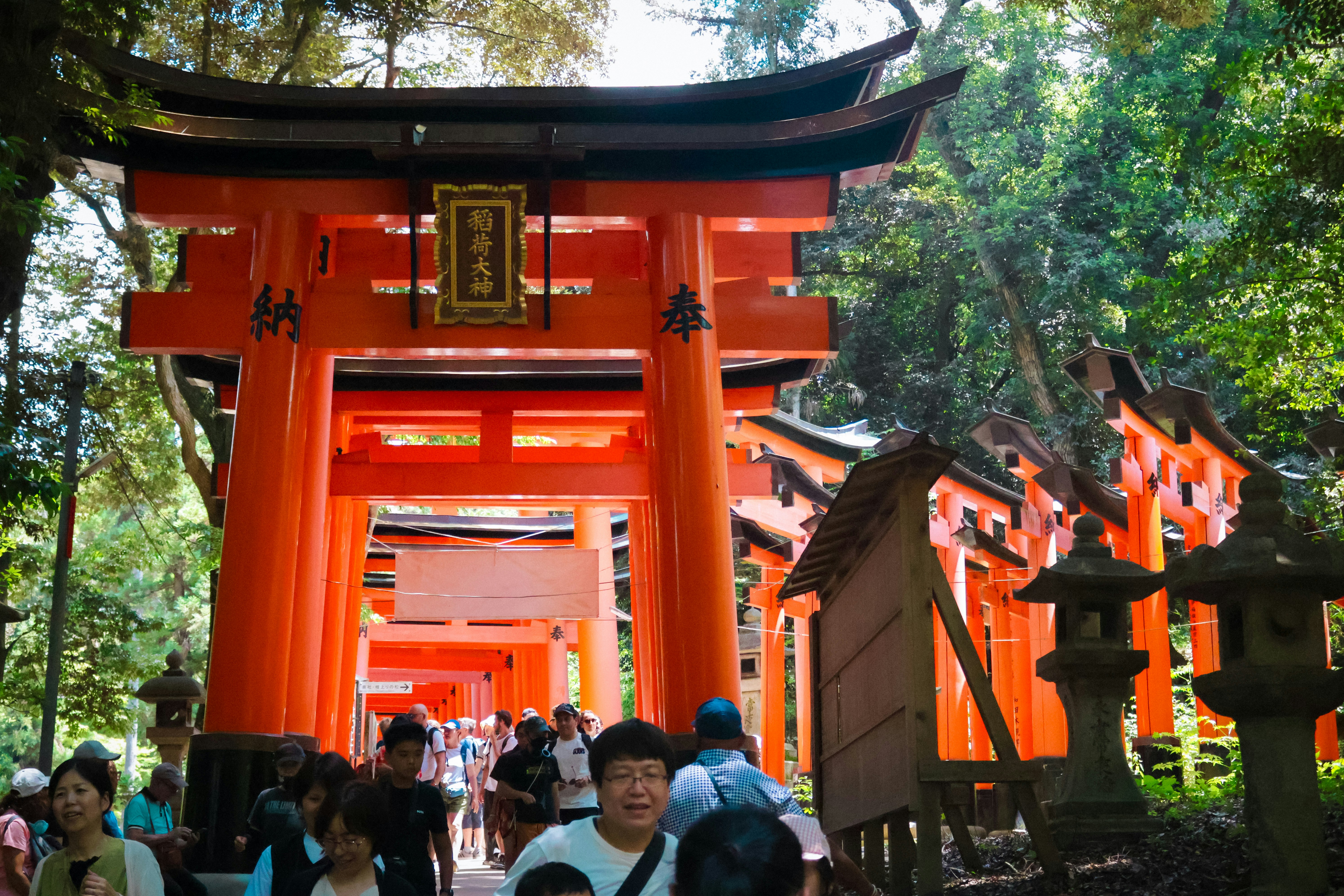 Crimson Gates: A Corridor of Torii in Evening Light