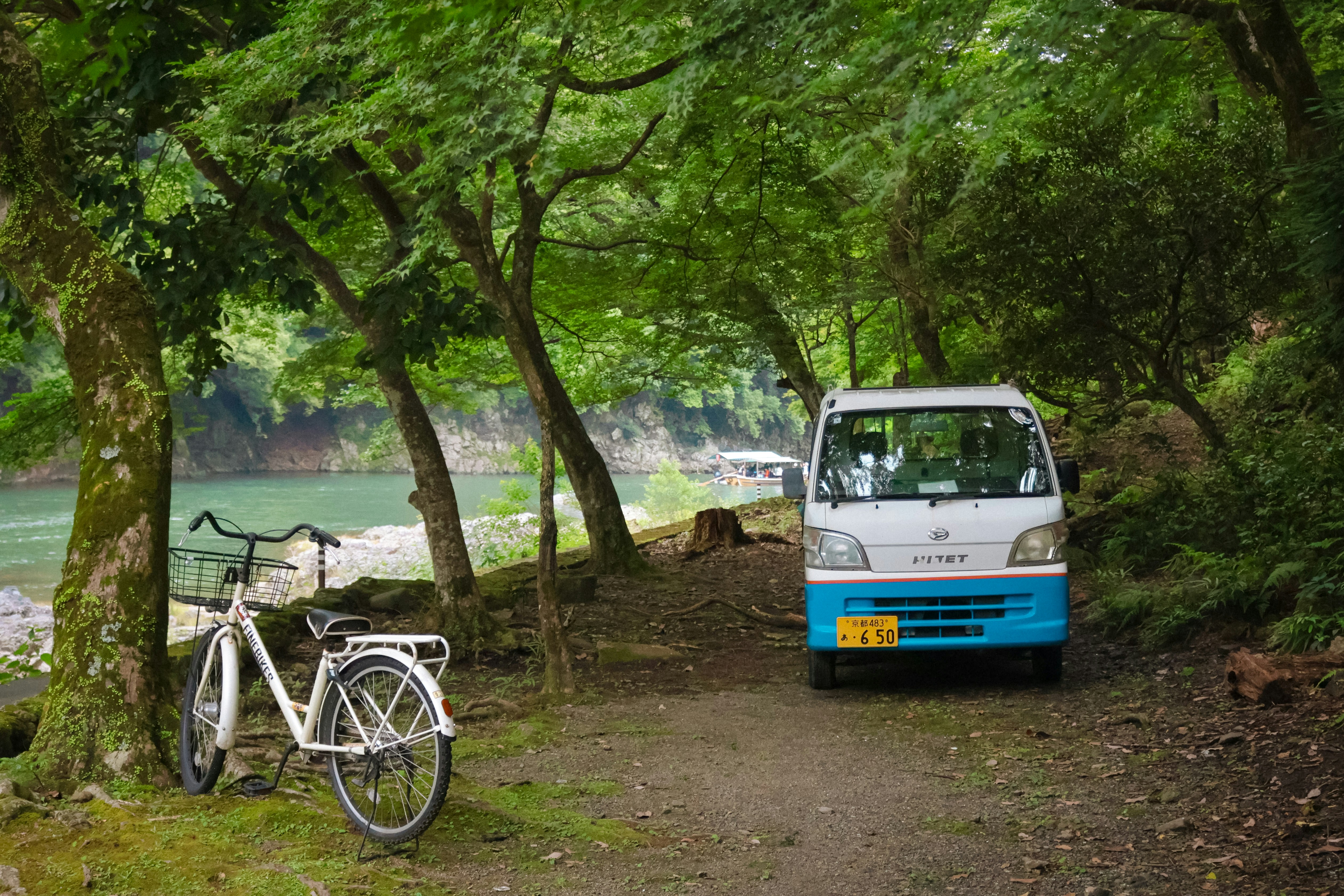 Forest Lane: A Quiet Meet Between Bike and Van