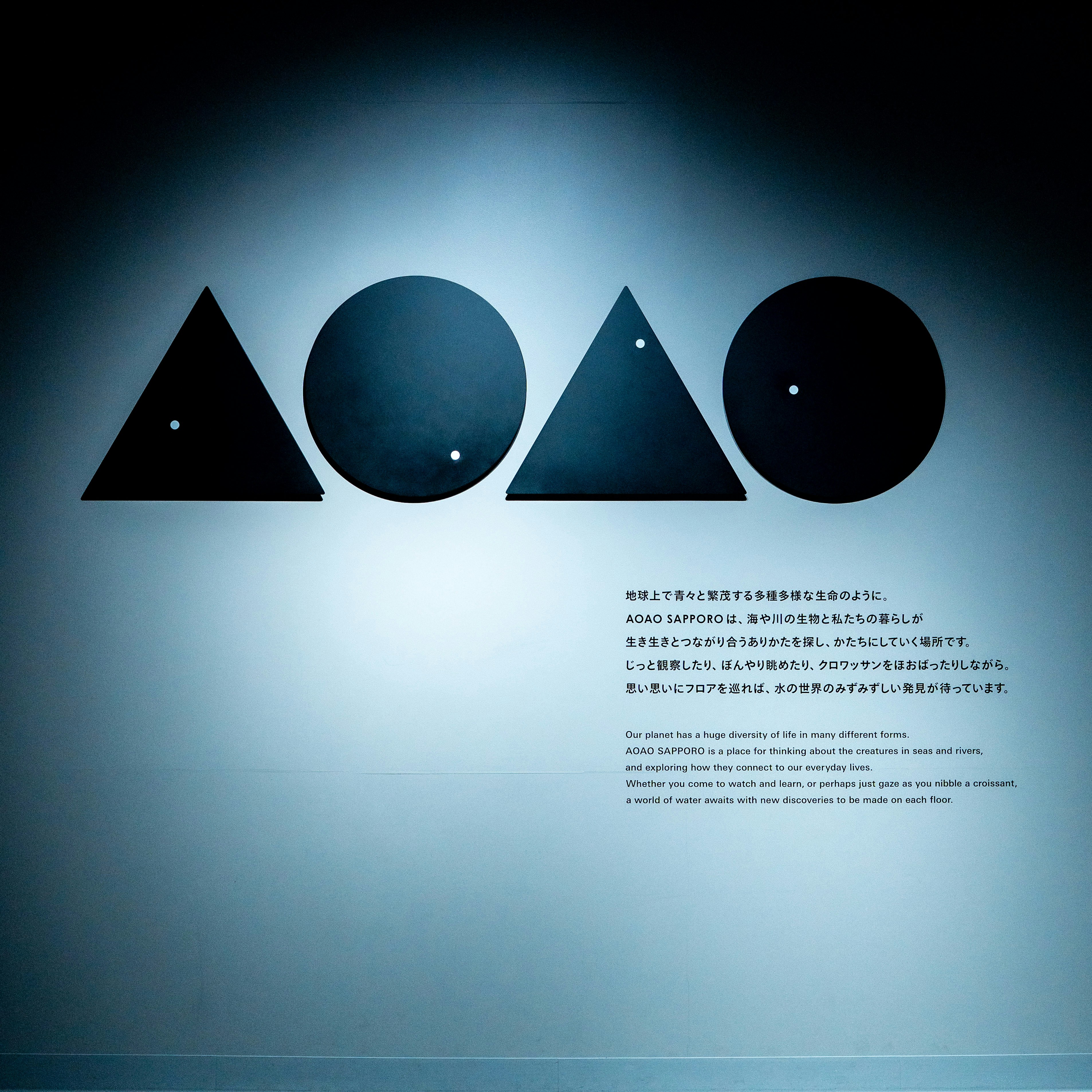 Shapes in Light: A Triad and Circle Gallery