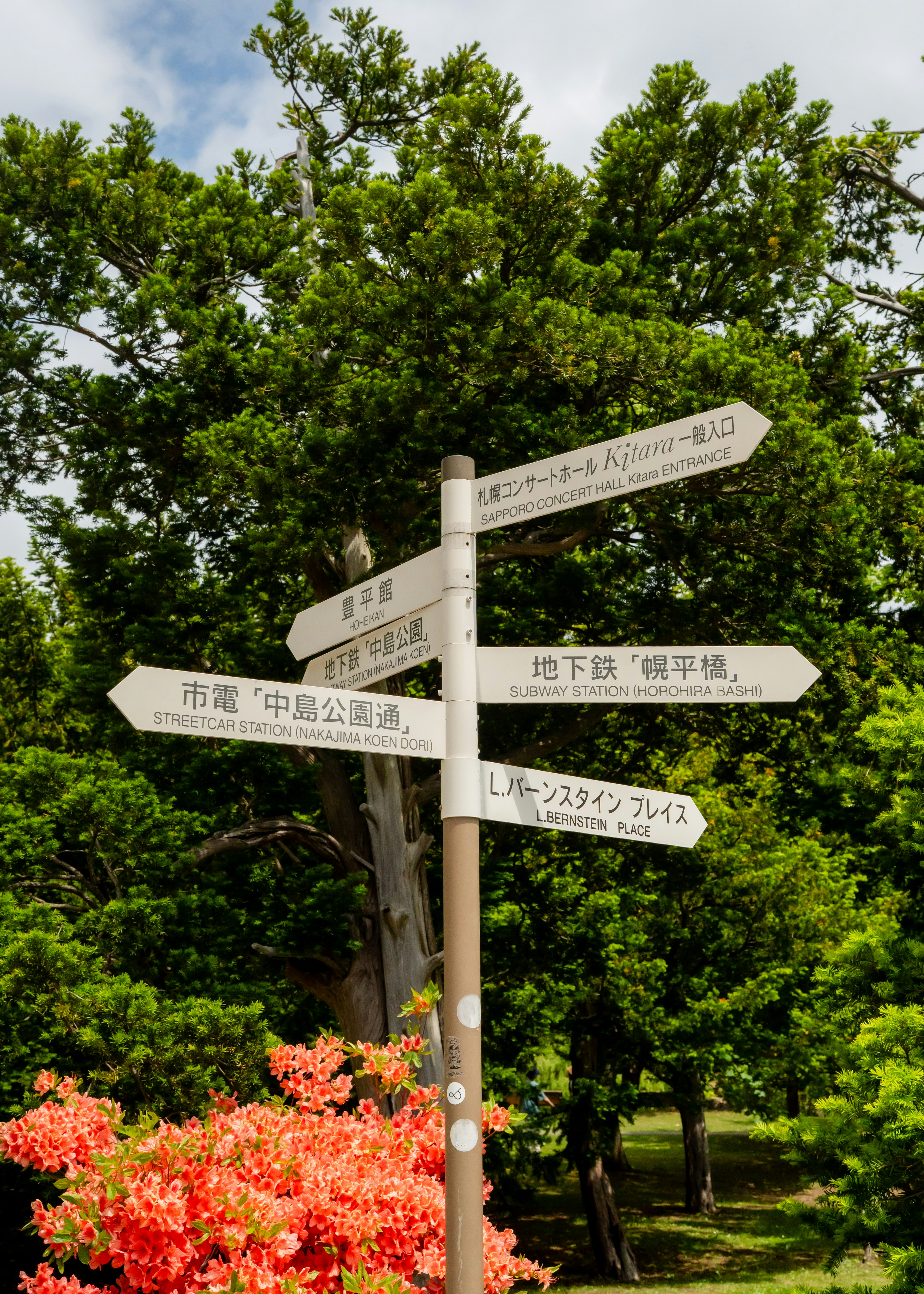 Signpost Orchard: A Clue-Filled Path in the Park