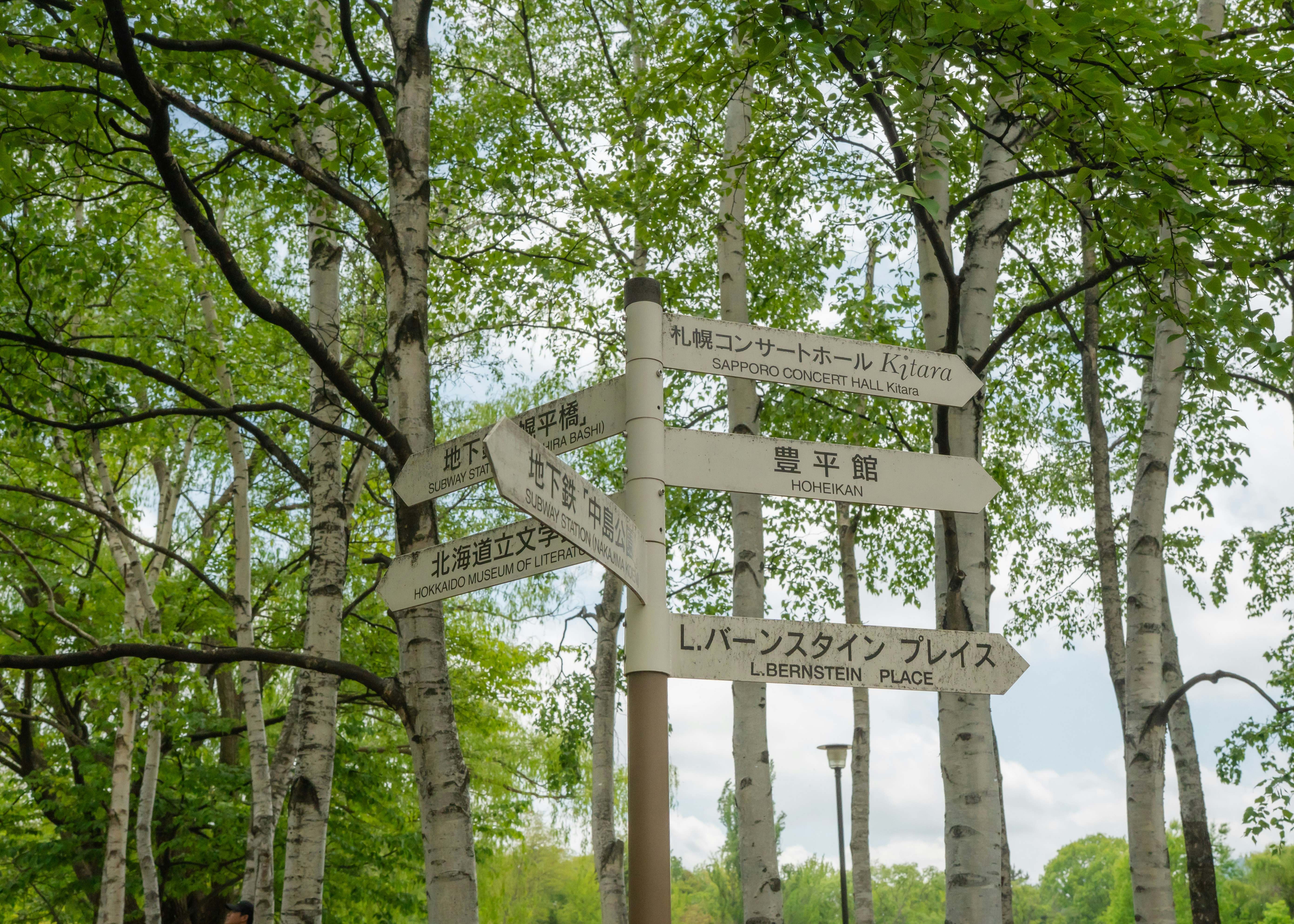 Signpost Forest of Peace: Directional Hints in a Green Glade