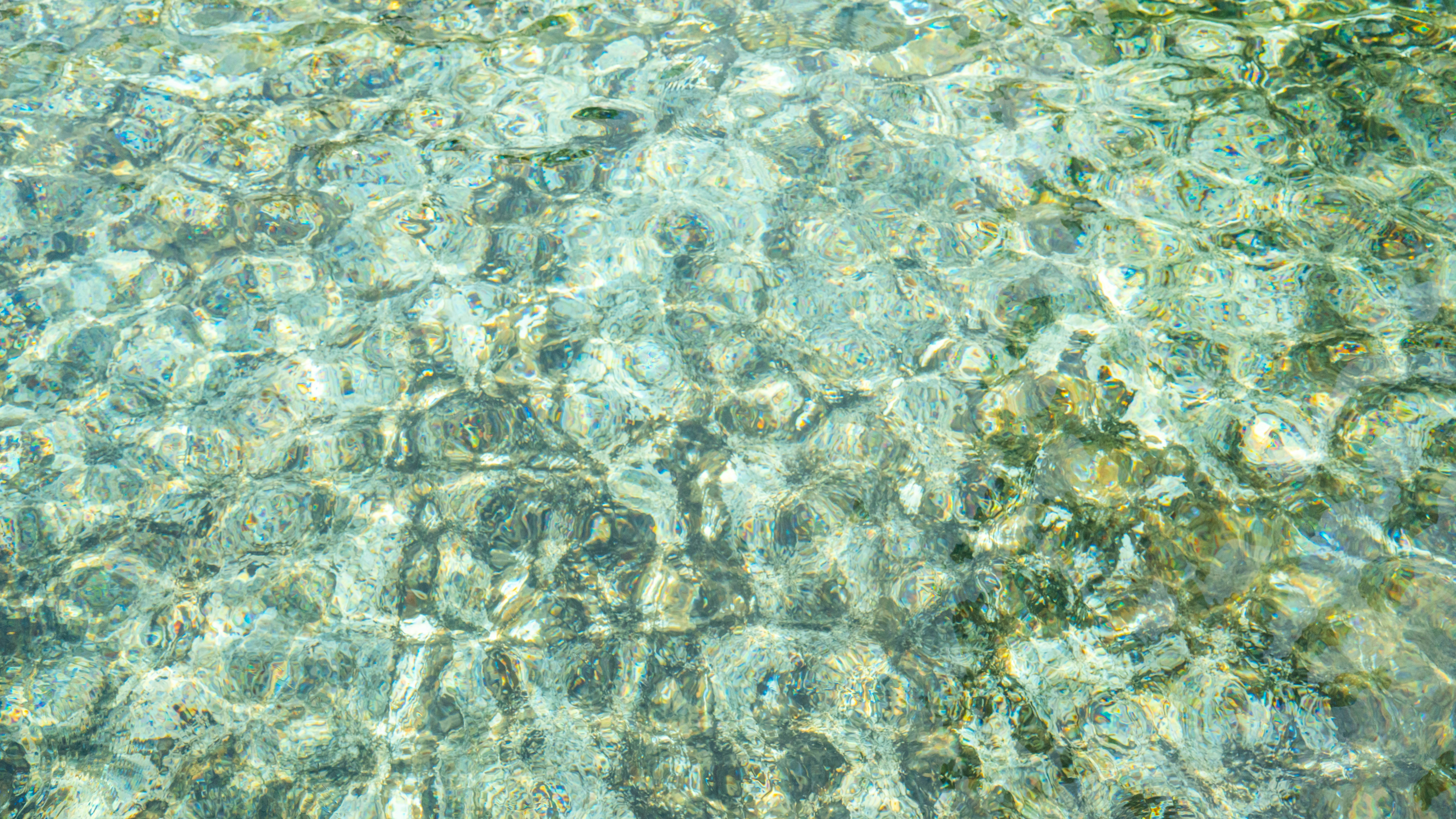 Liquid Mosaic: Sunlit Ripples in Clear Water