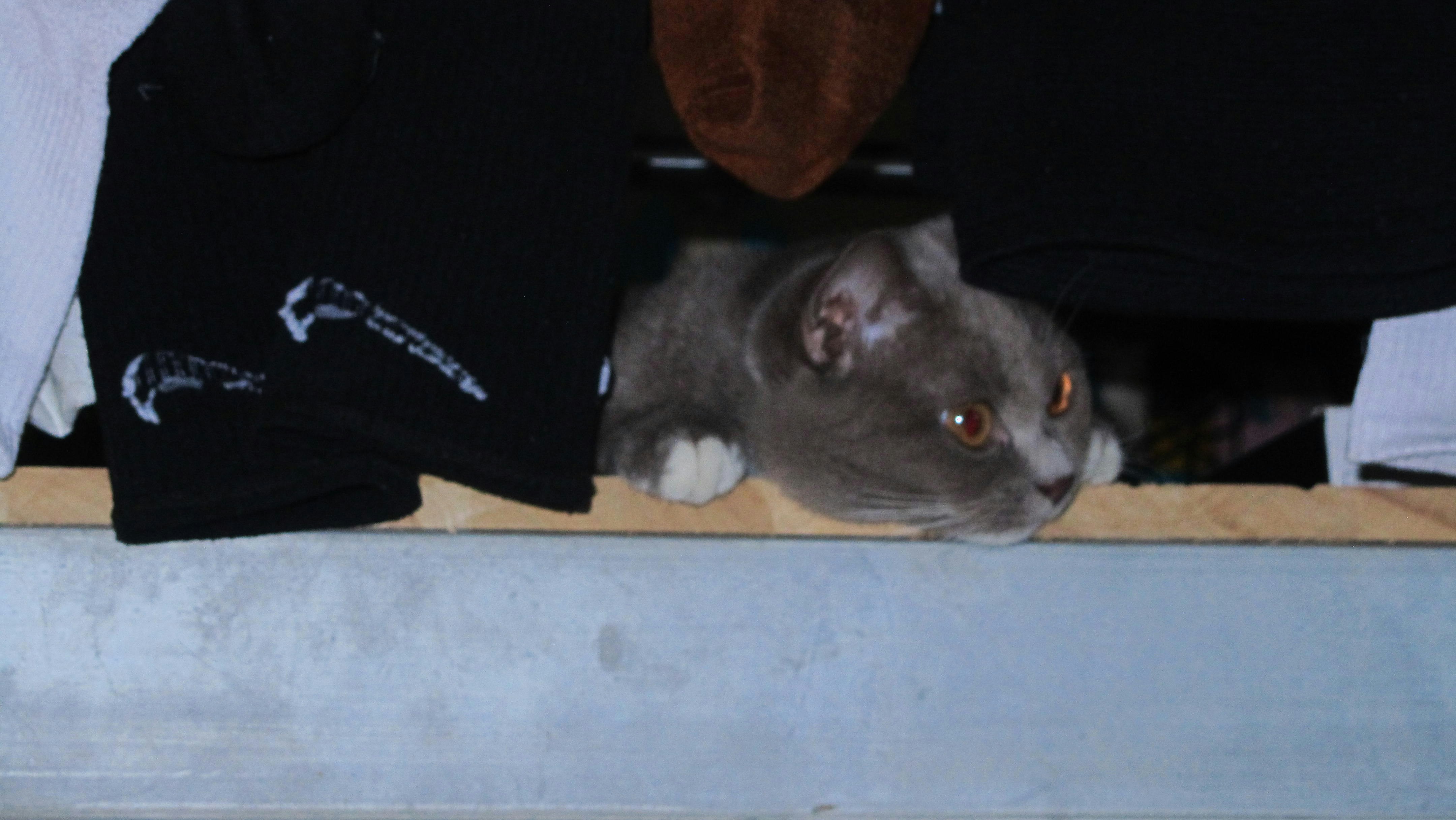 Hidden Climber: Cat's Repose Over the Workshop Lip