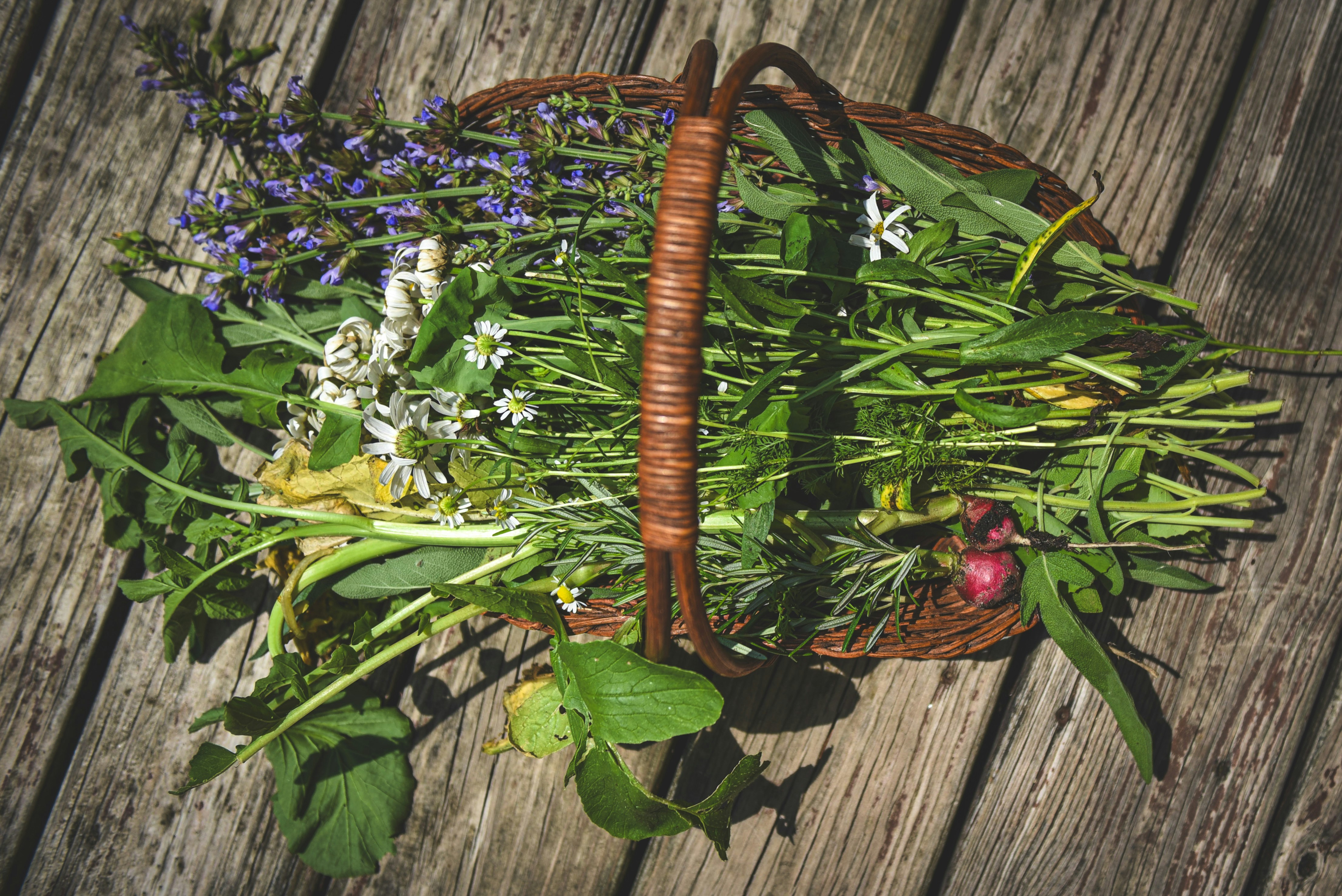 Garden Harvest in a Weathered Basket