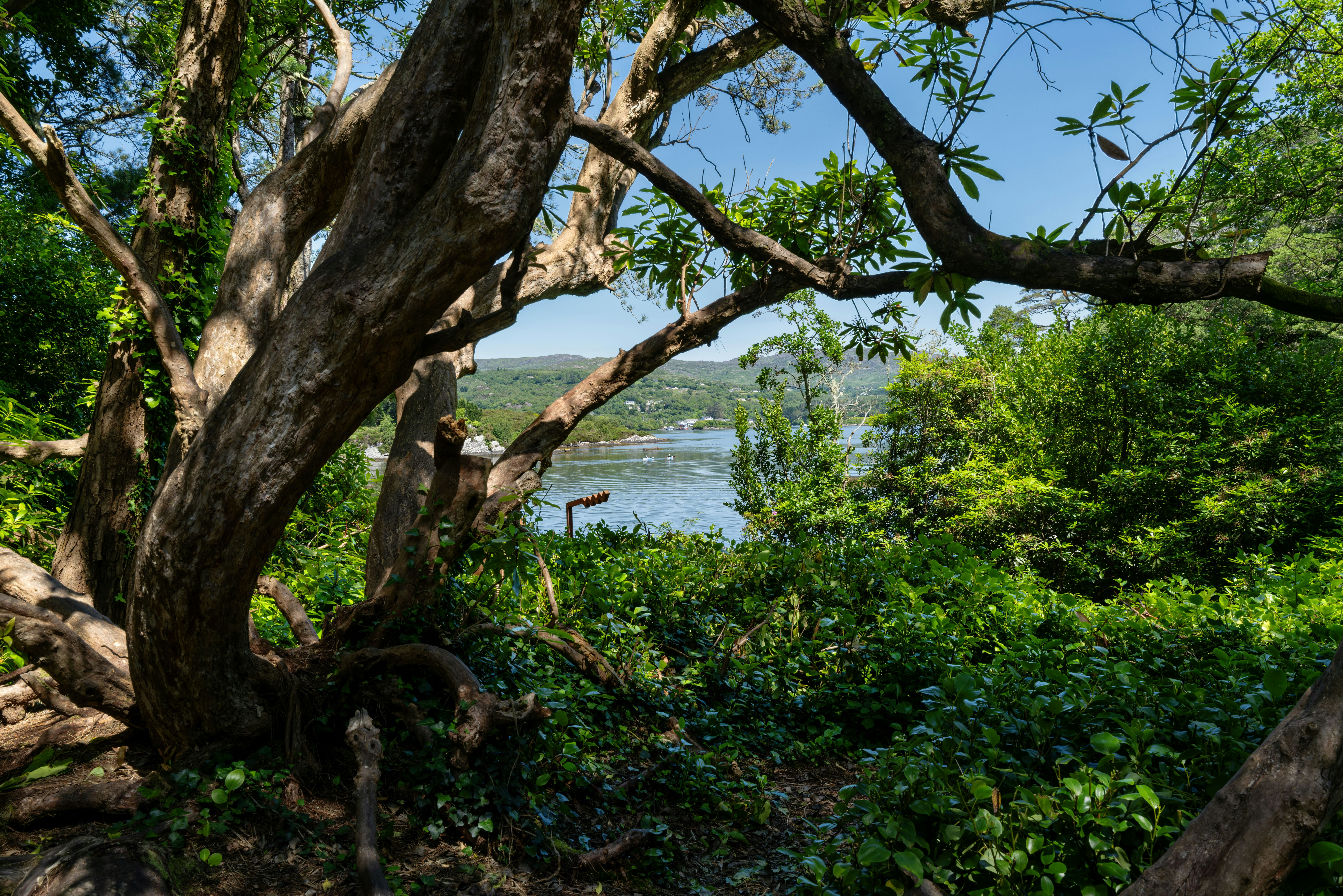 Sunlit Arbor Overlooking the Quiet River