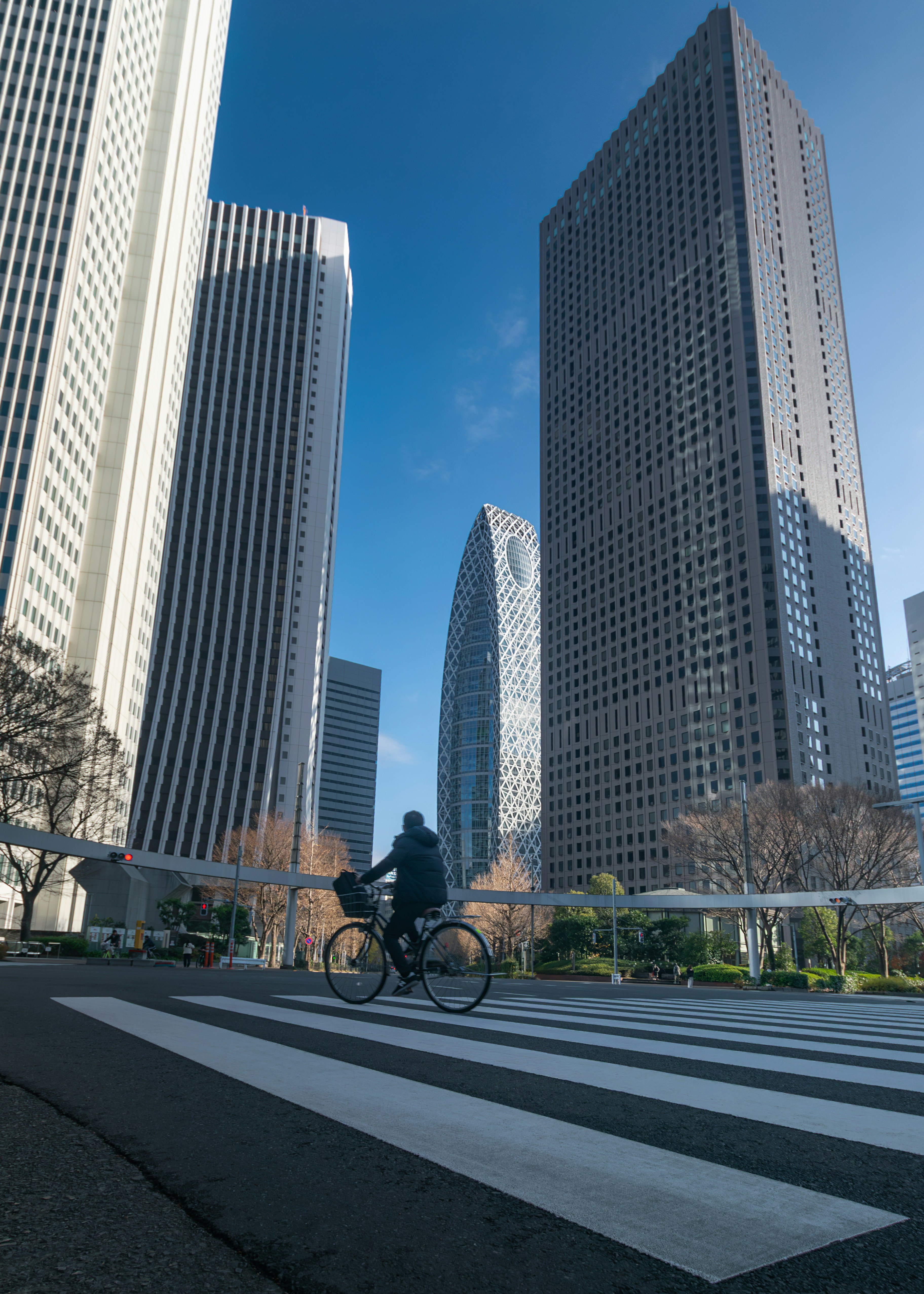 Cyclist in a Concrete Canyon: A Blue Sky Portrait