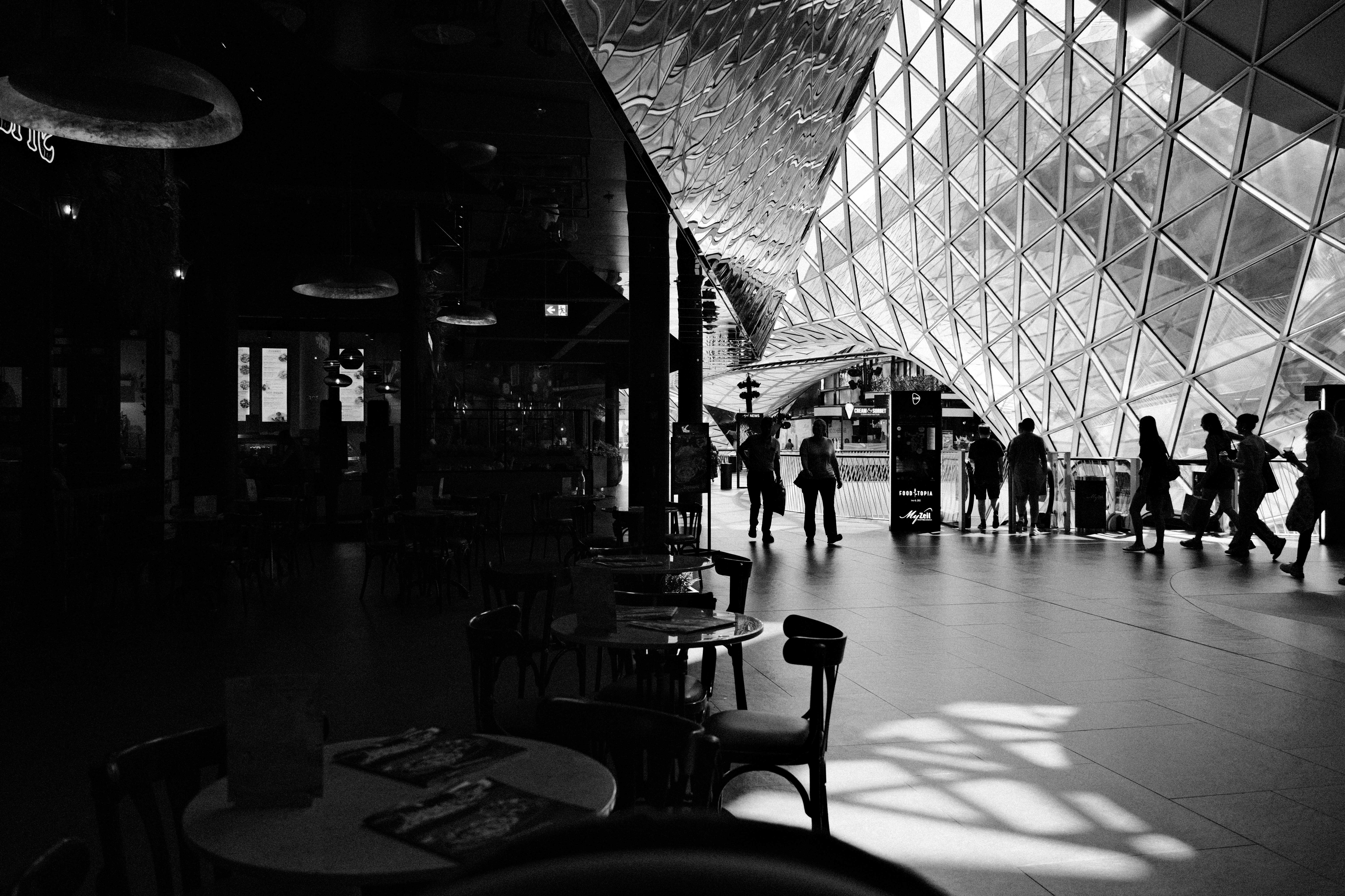 Light and Shadow at the Glass Cathedral