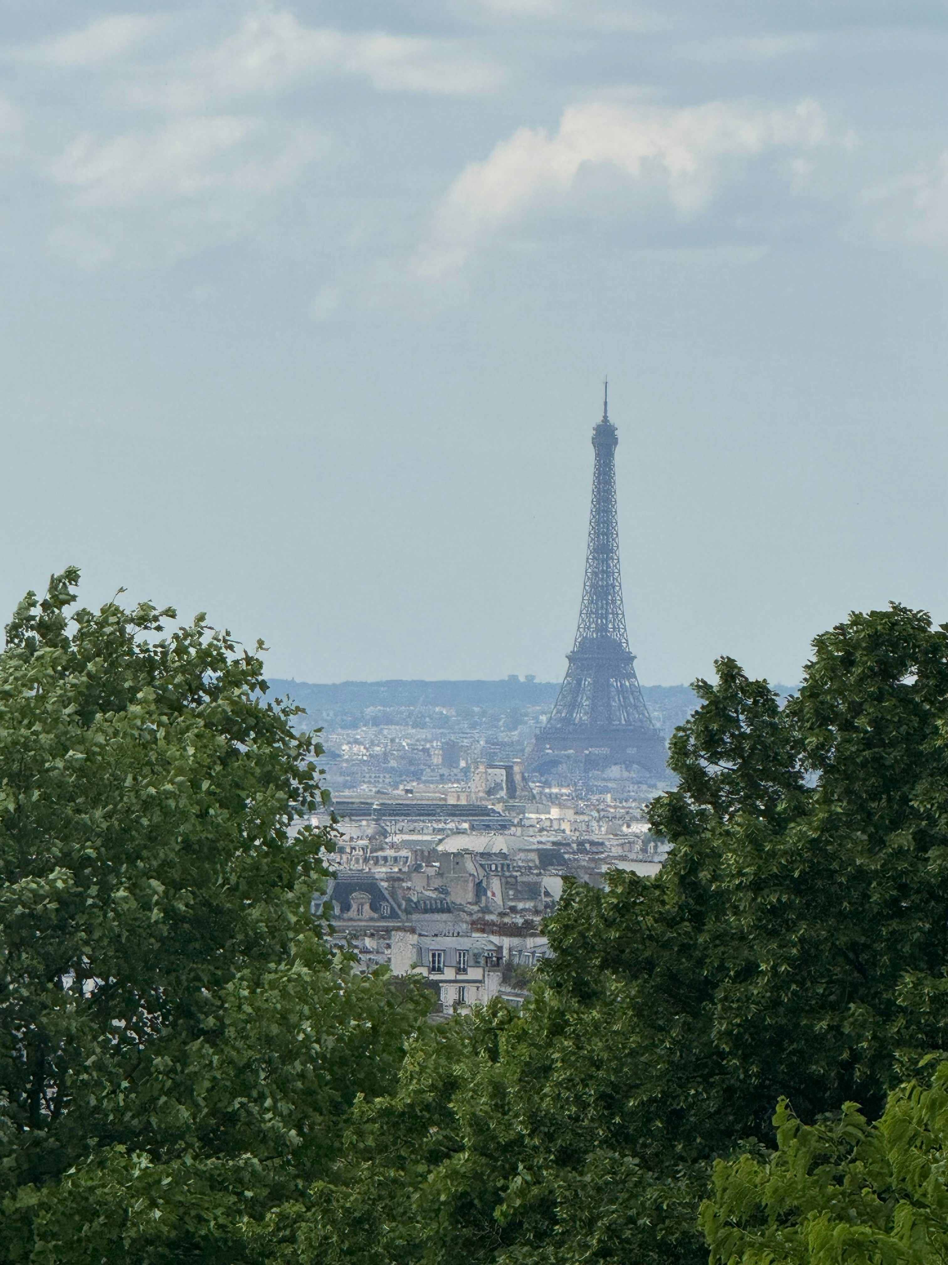 Paris View: Eiffel Tower Rising Above the Green Rim