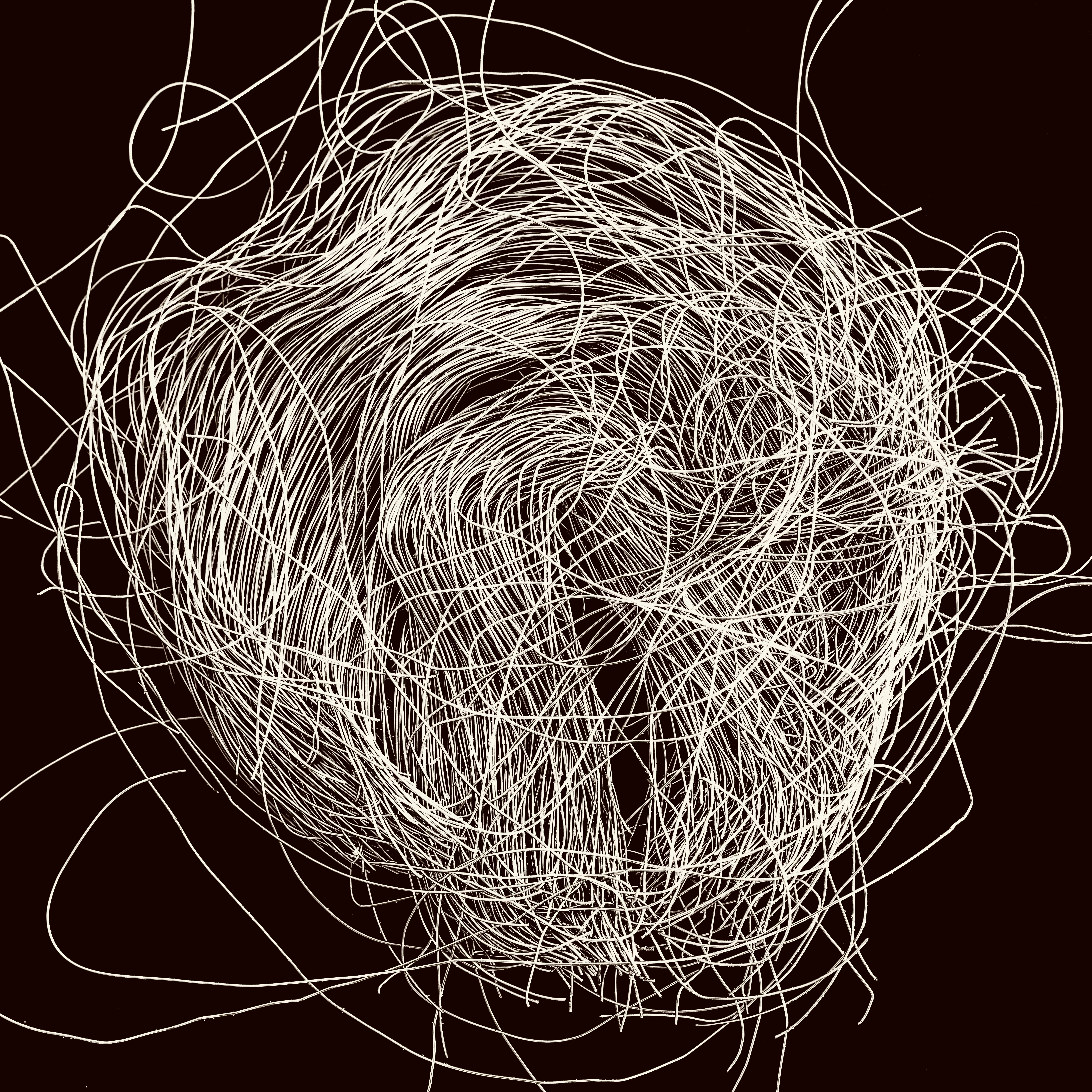 Abstract tangle of cream-colored lines forming a dense circular coil against a dark background. The composition emphasizes texture and motion without a discernible figure, suggesting a chaotic yet controlled sculpture of thread-like skeins.