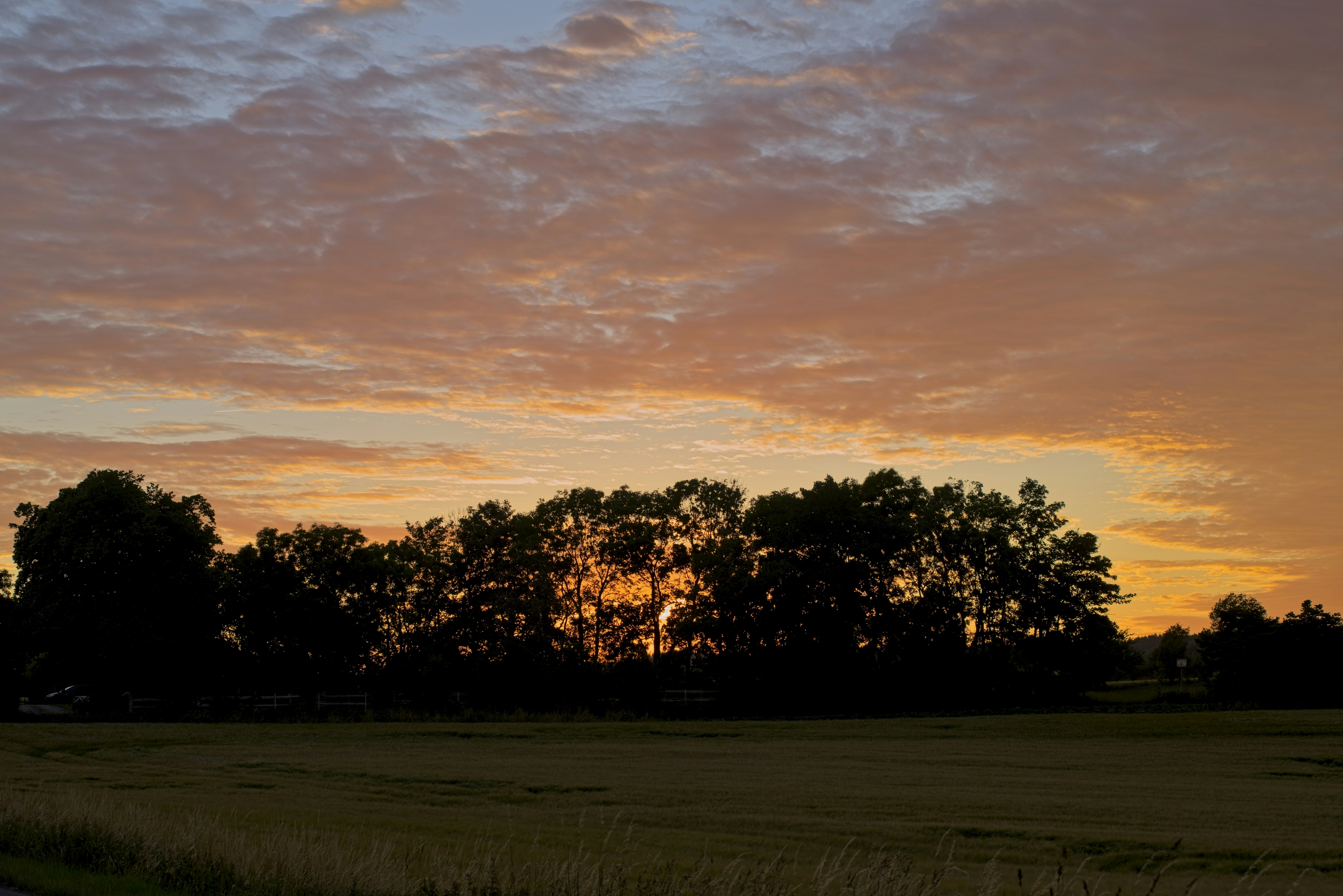 Sunset Silhouette Over a Quiet Field