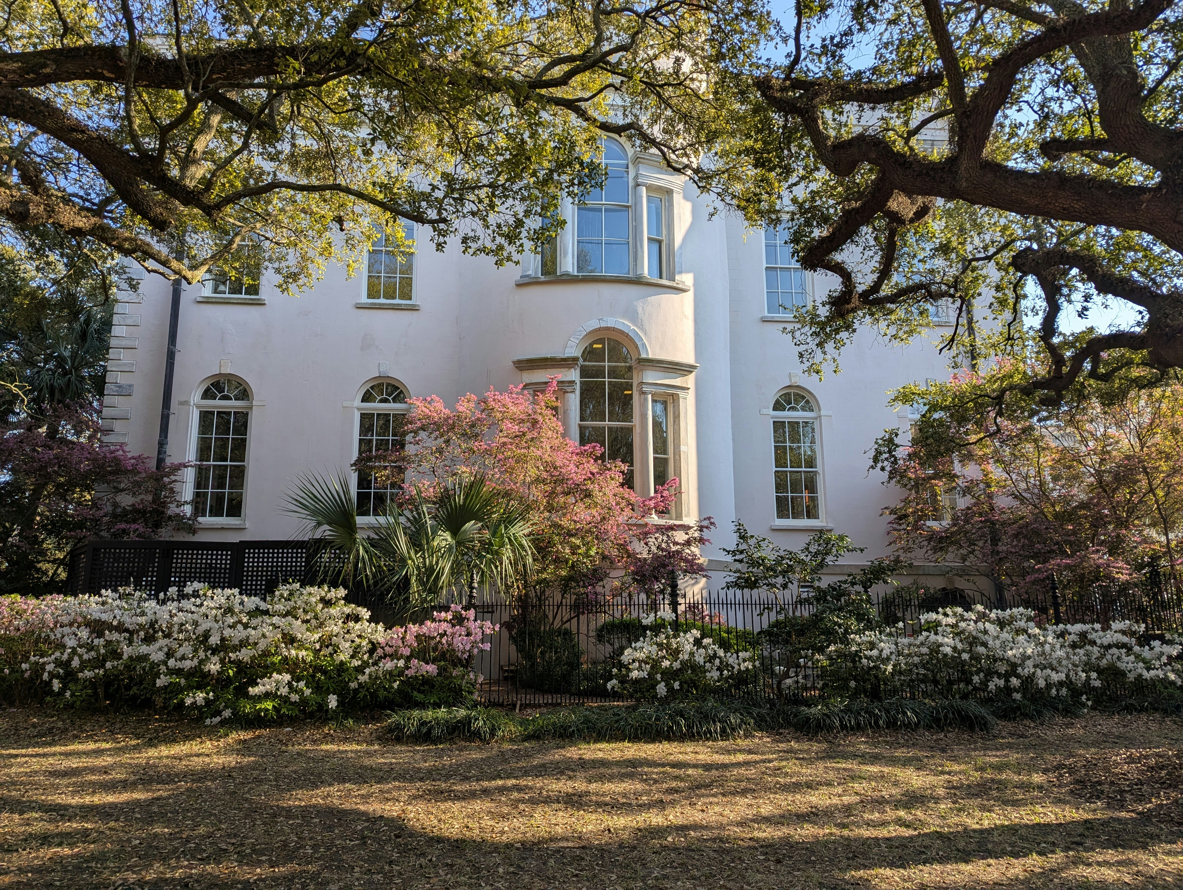 Sunlit Villa in Bloom: A White Estate Framed by Pink Blossoms