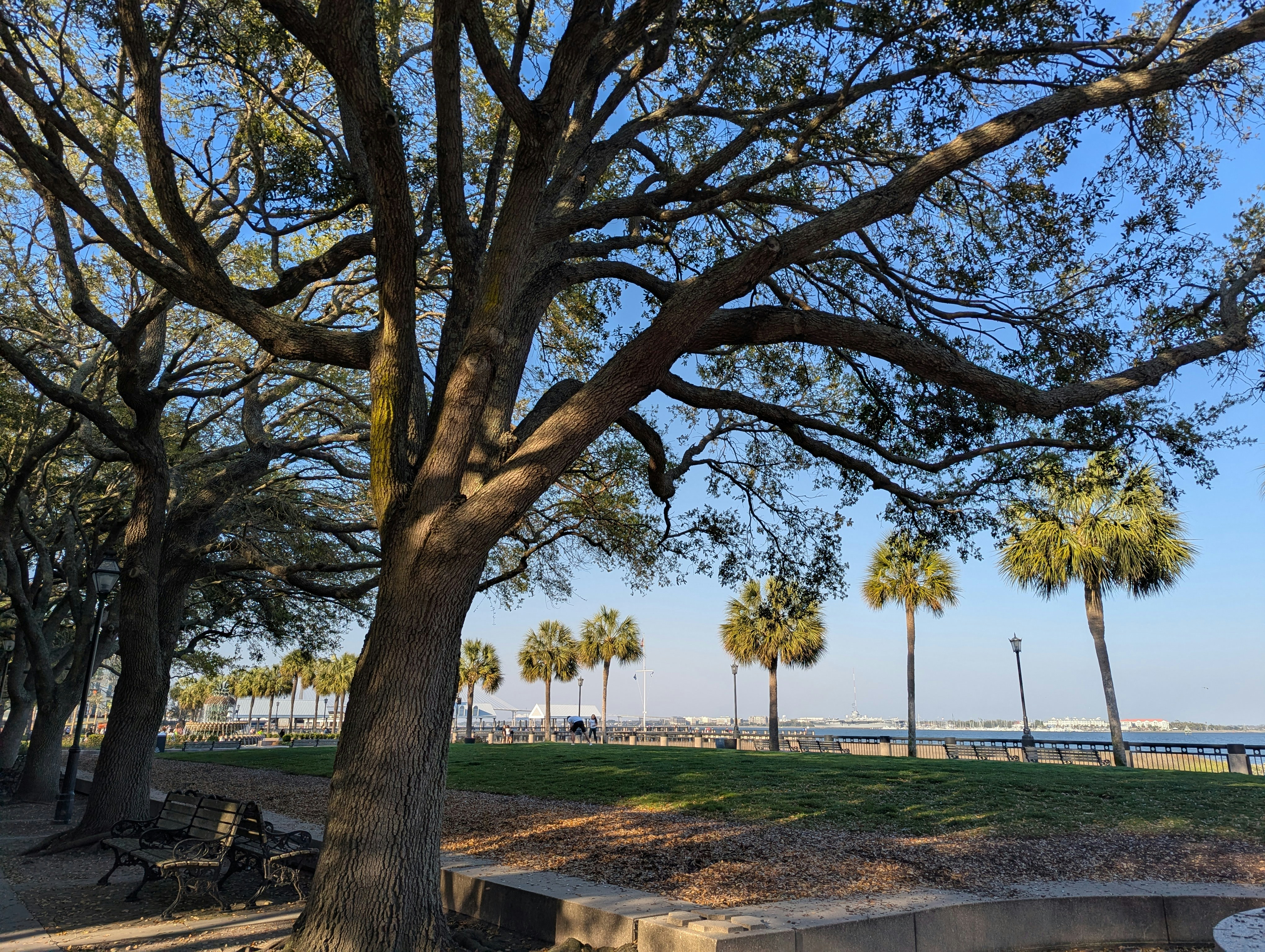 Photo by Shelley Johnson with Google Pixel 7