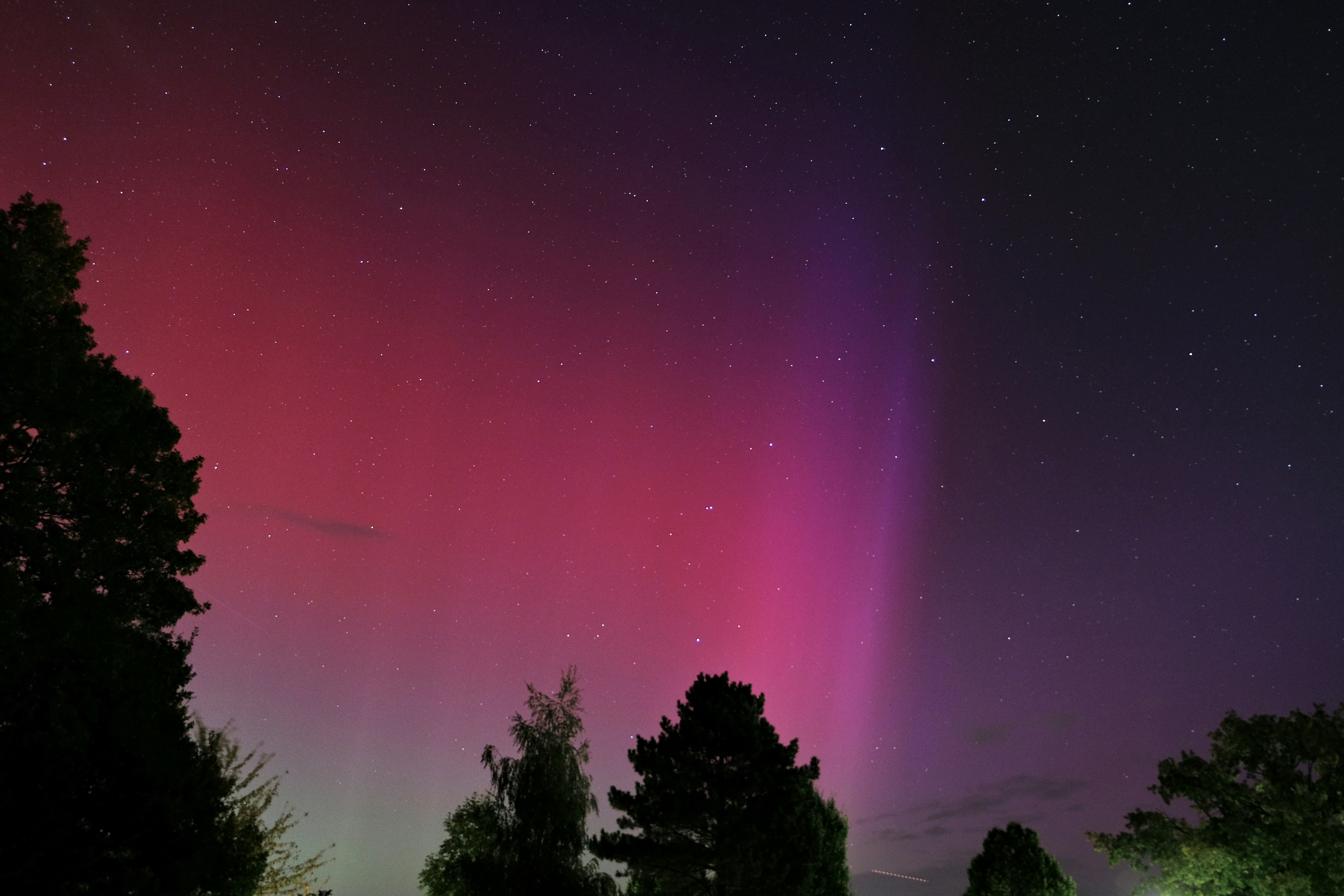 Aurora Over the Silent Pines