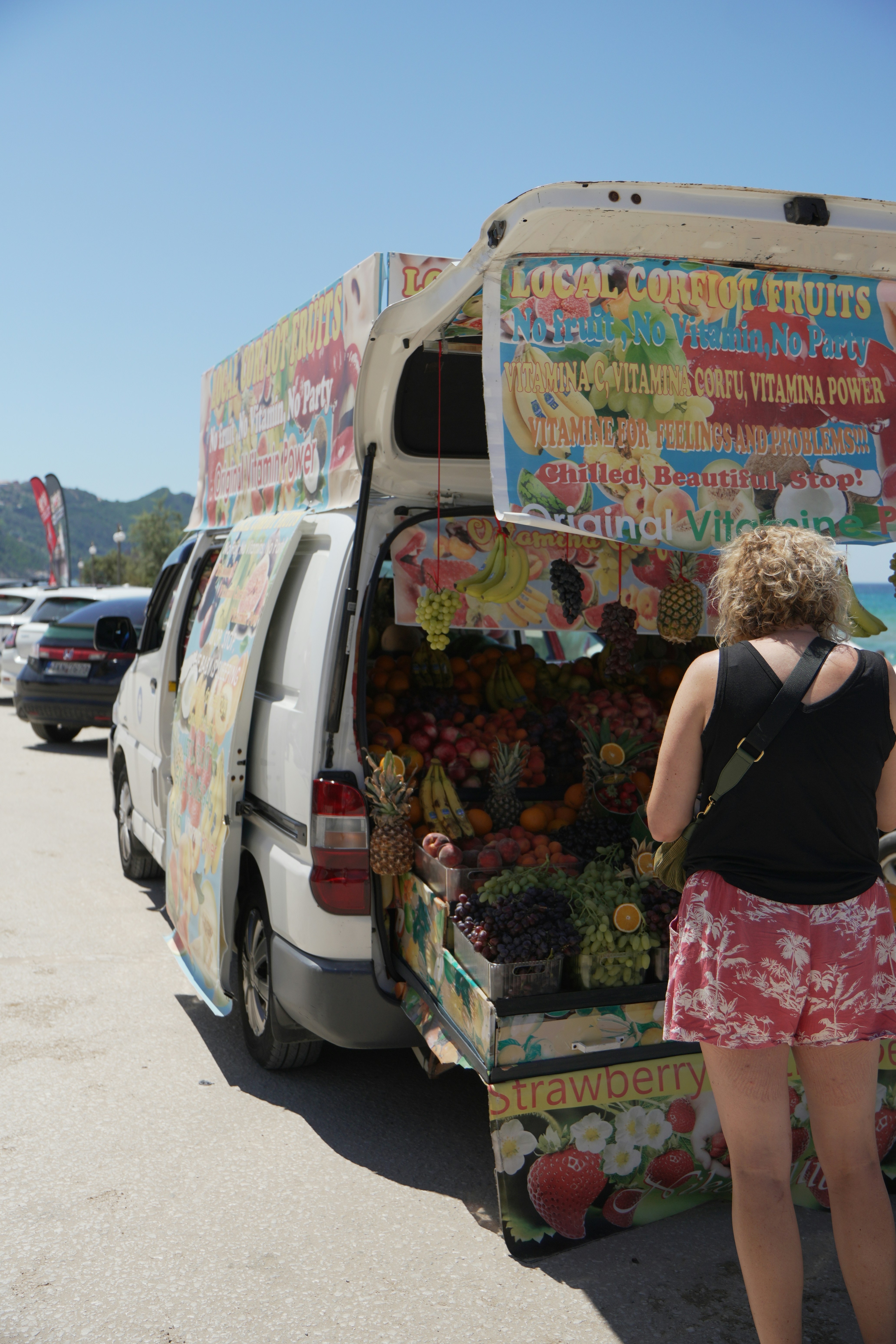 Fruit Stand Van: Aardvark of Color at the Market