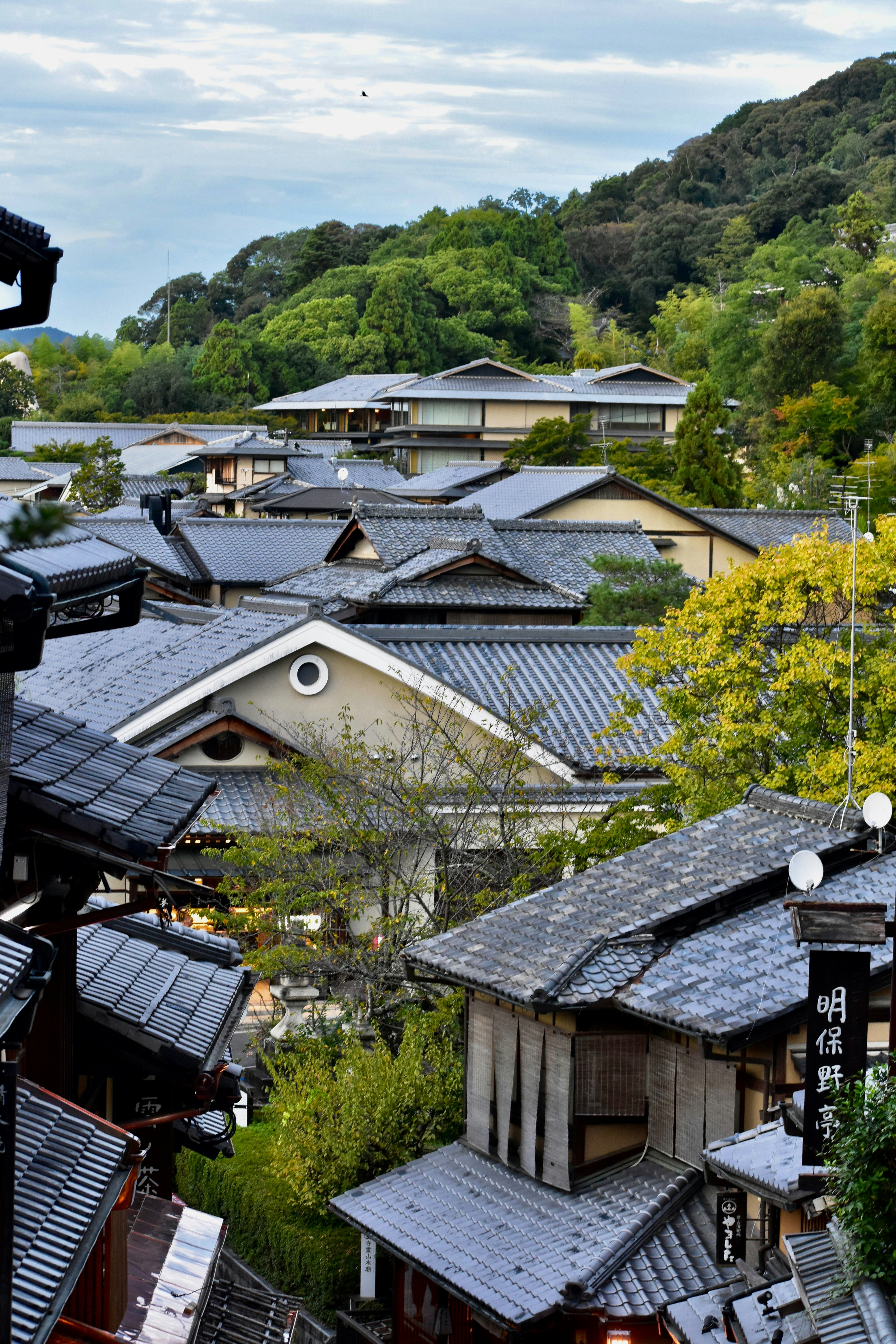 Traditional Kyoto Rooftops Under a Verdant Crest