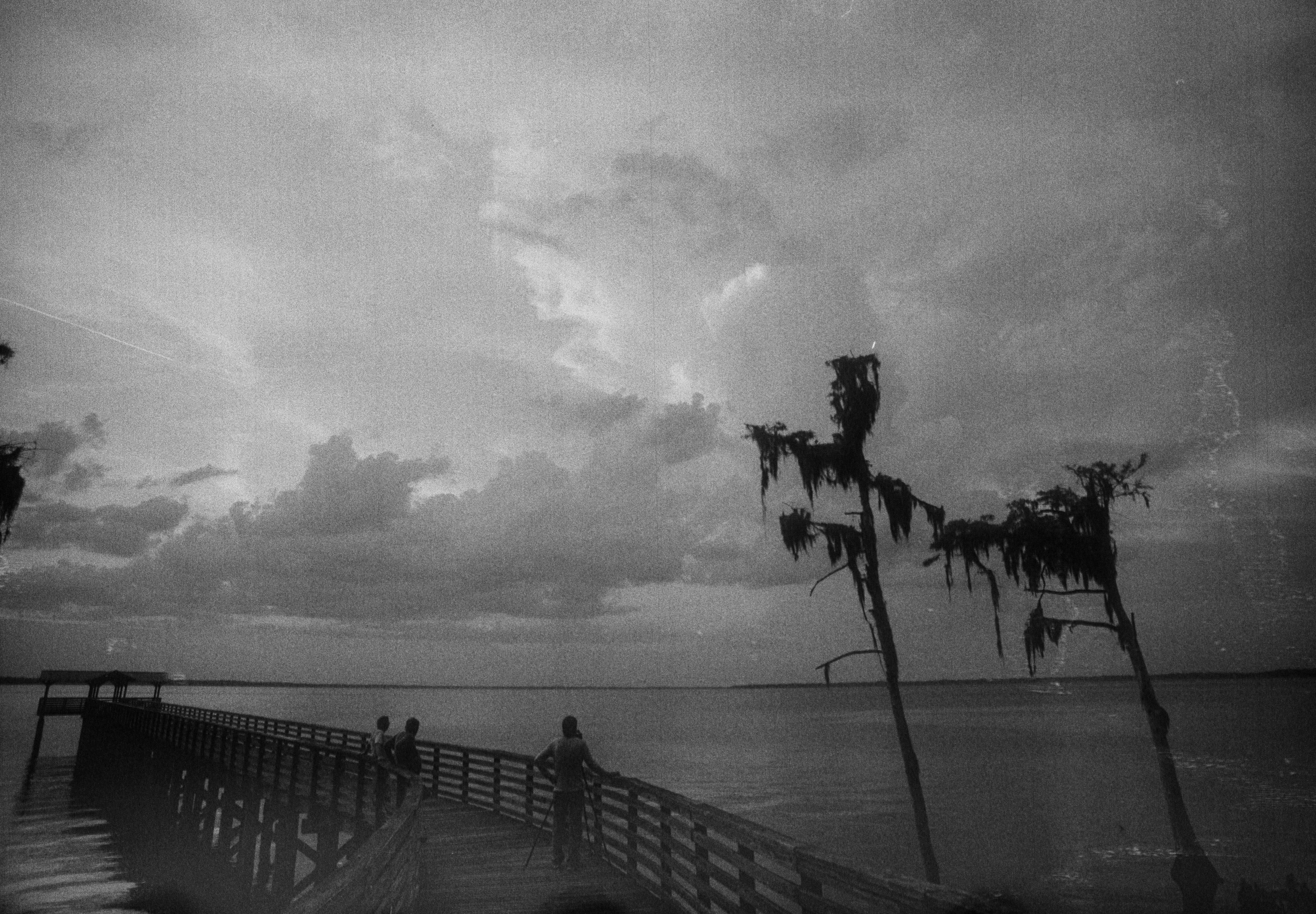 Weathered Pier and Mangled Poles on a Quiet Sea