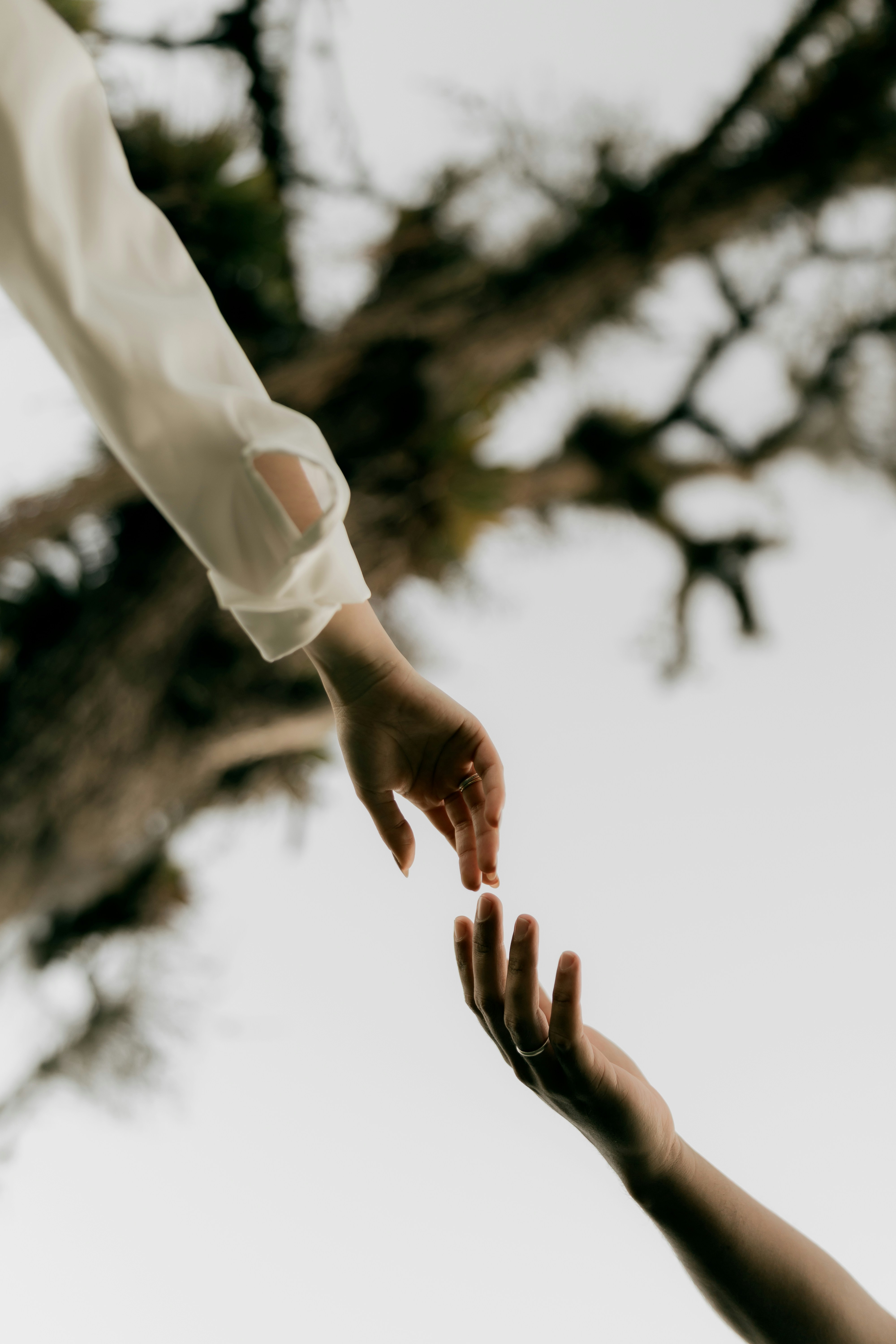 Hands Reaching Across the Quiet Campo