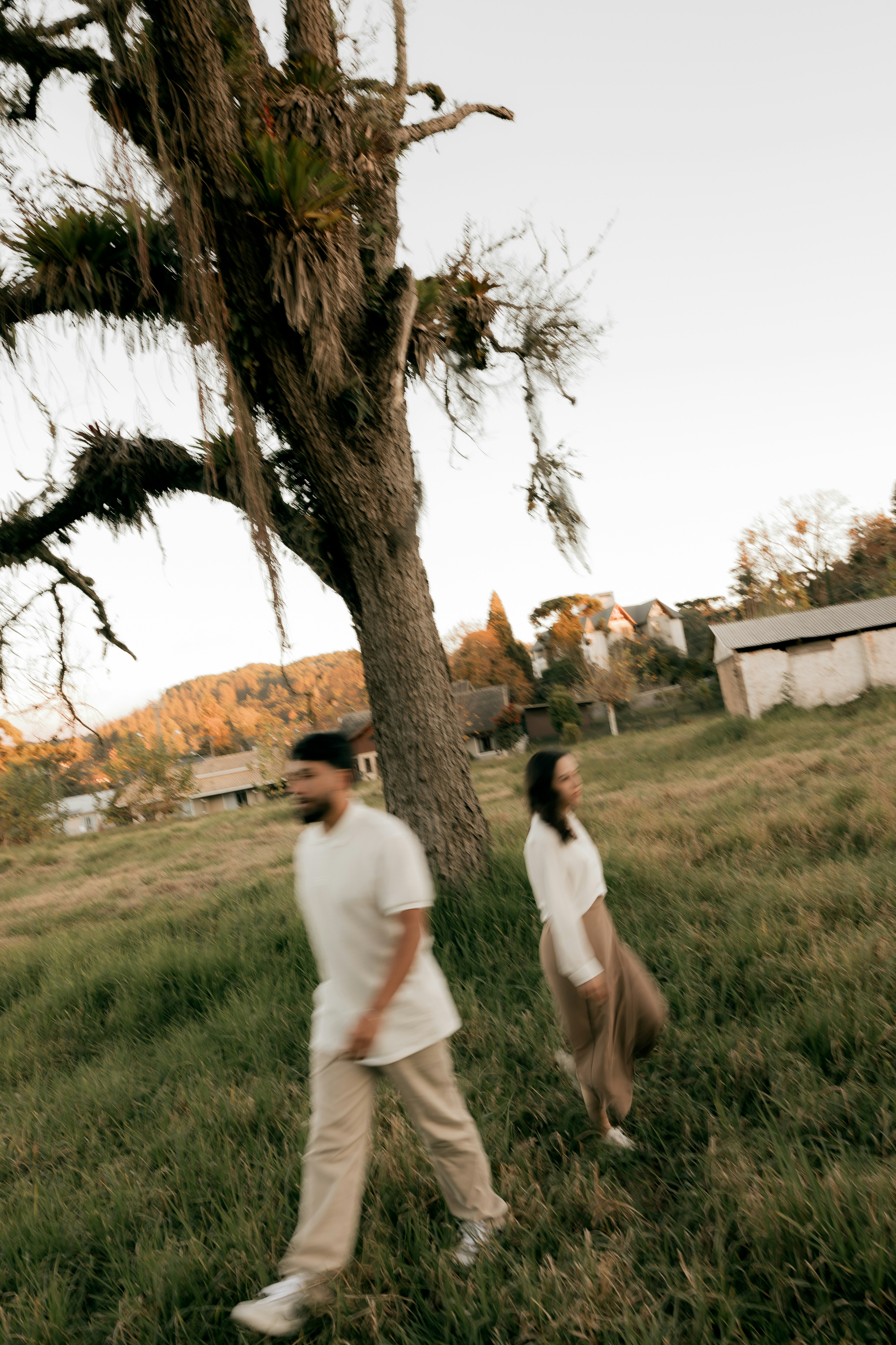 Two Figures Under a Whispering Tree at Golden Hour
