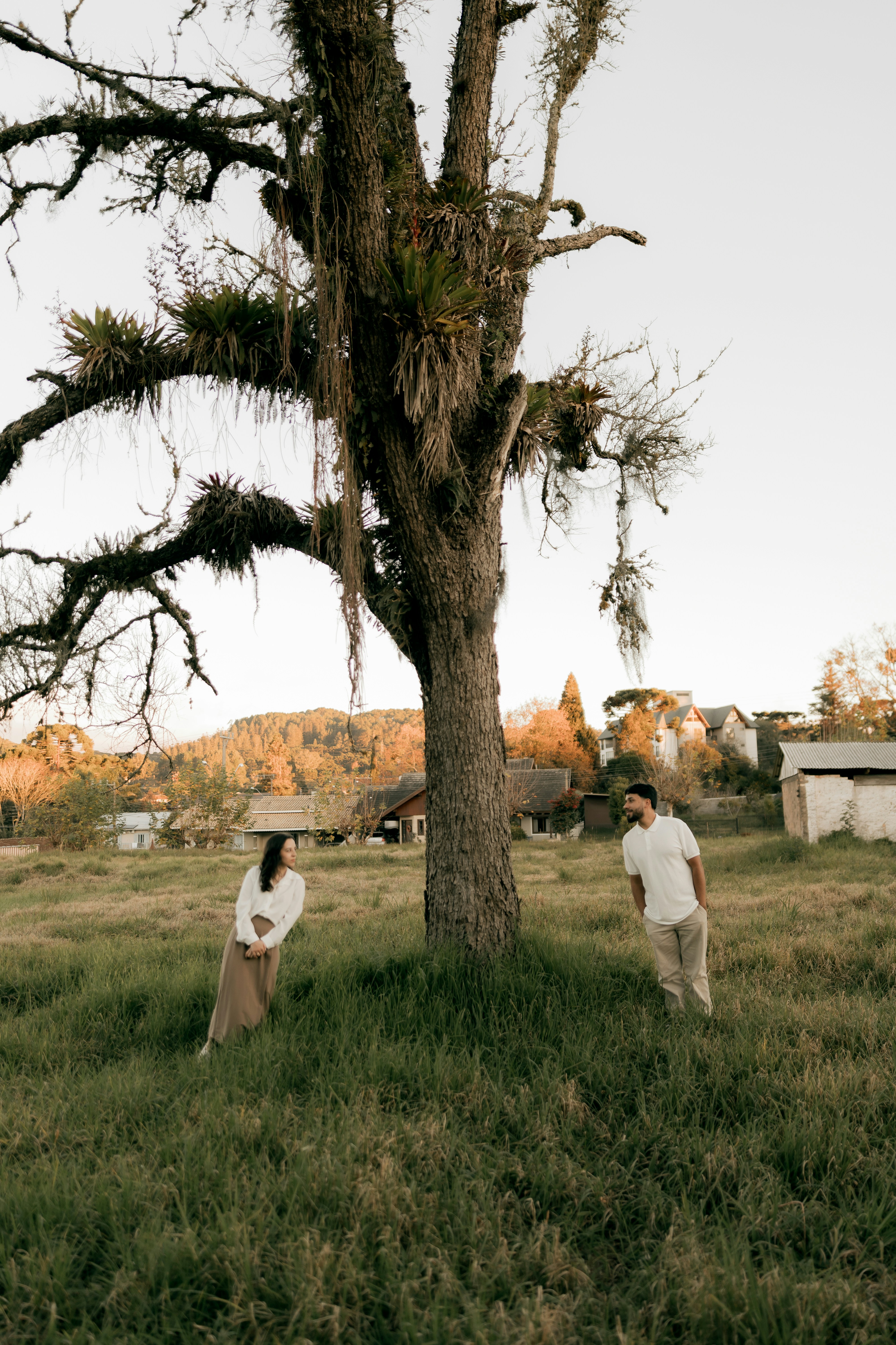 Two Figures Under a Gnarled Tree at Golden Hour