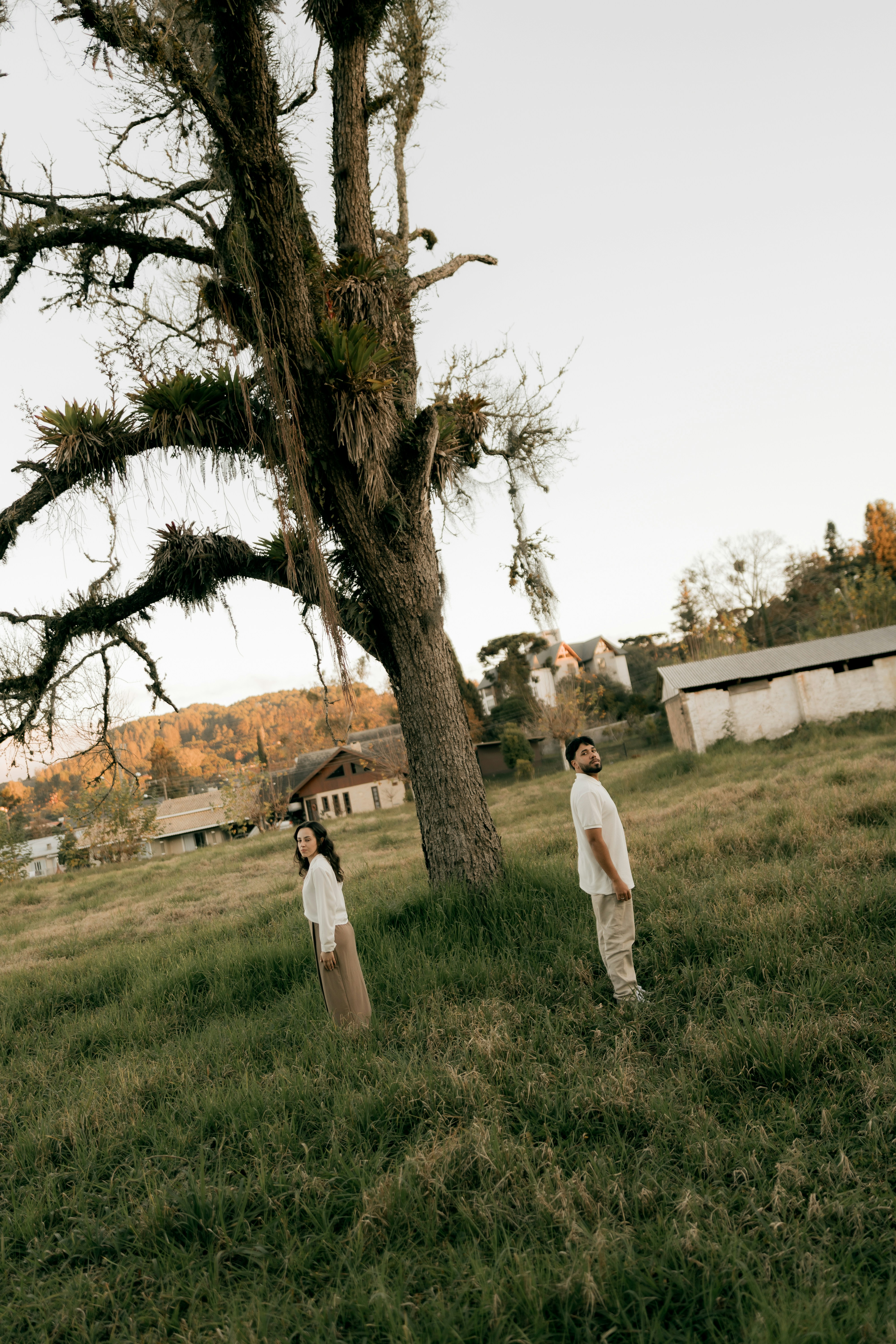 Quiet Distance: Two Figures Reframe a Sunny Clearing