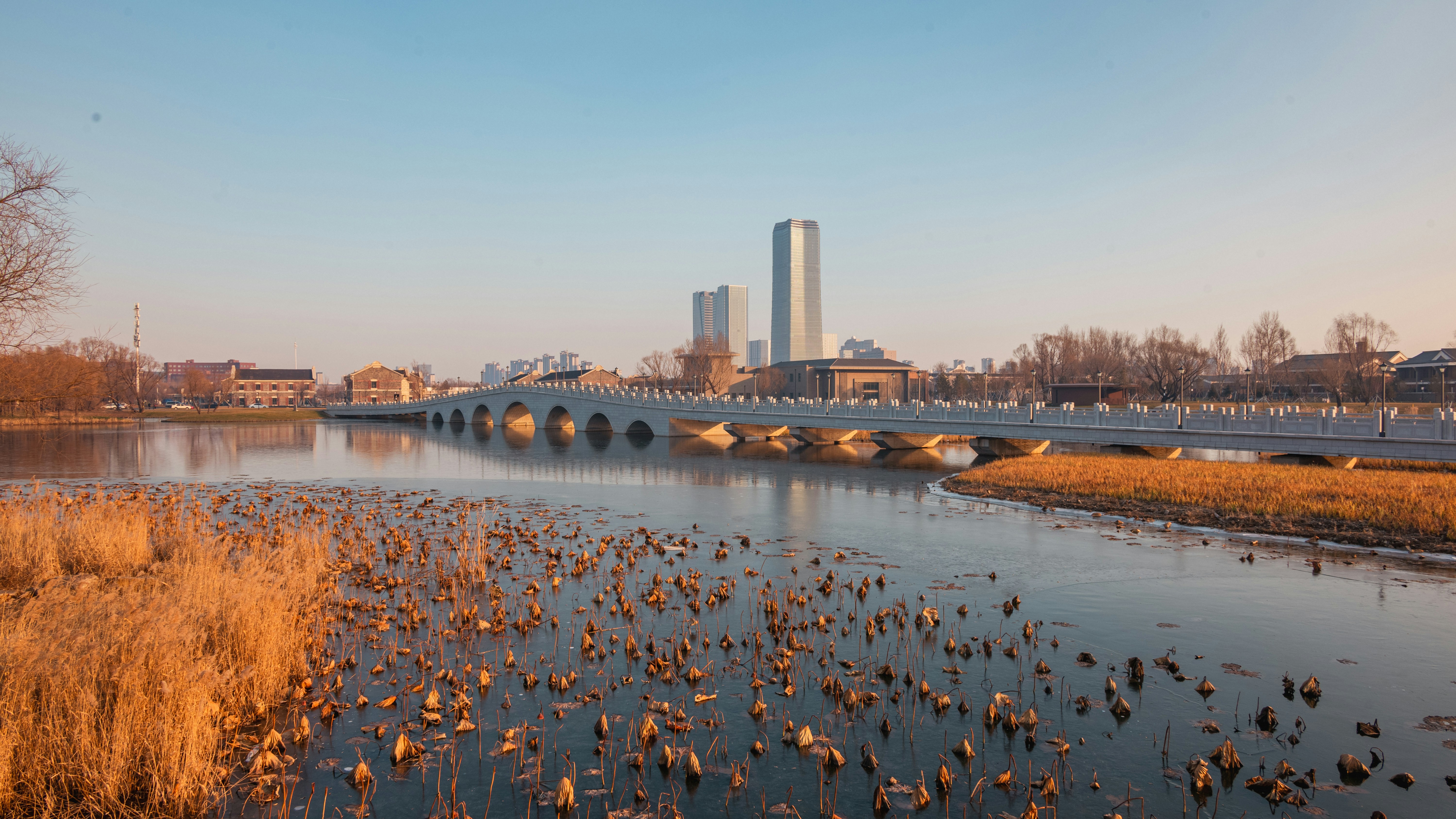 Riverside Bridge and Modern Skyline at Dusk