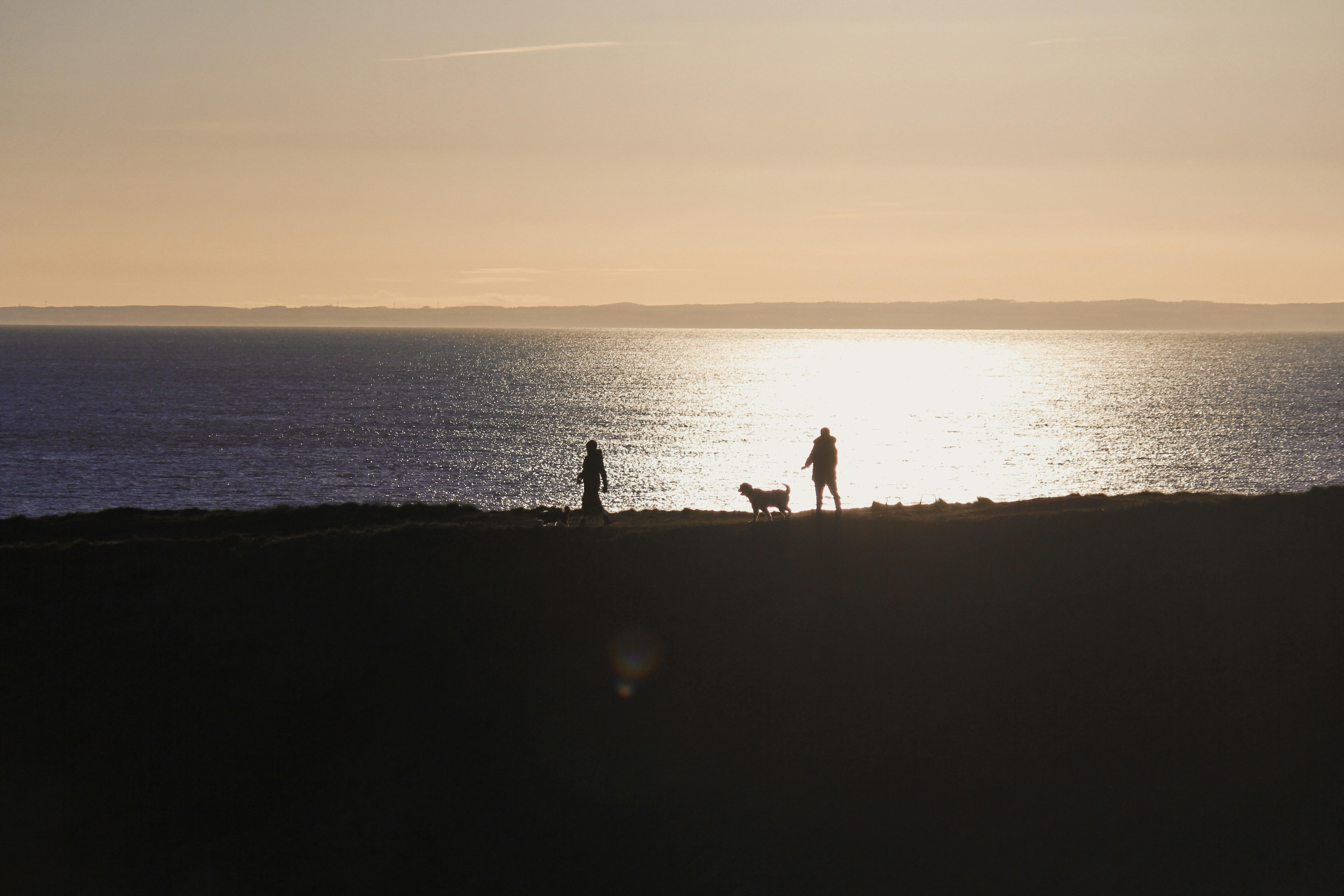 Sunlit Silhouettes: A Quiet Moment by the Shore