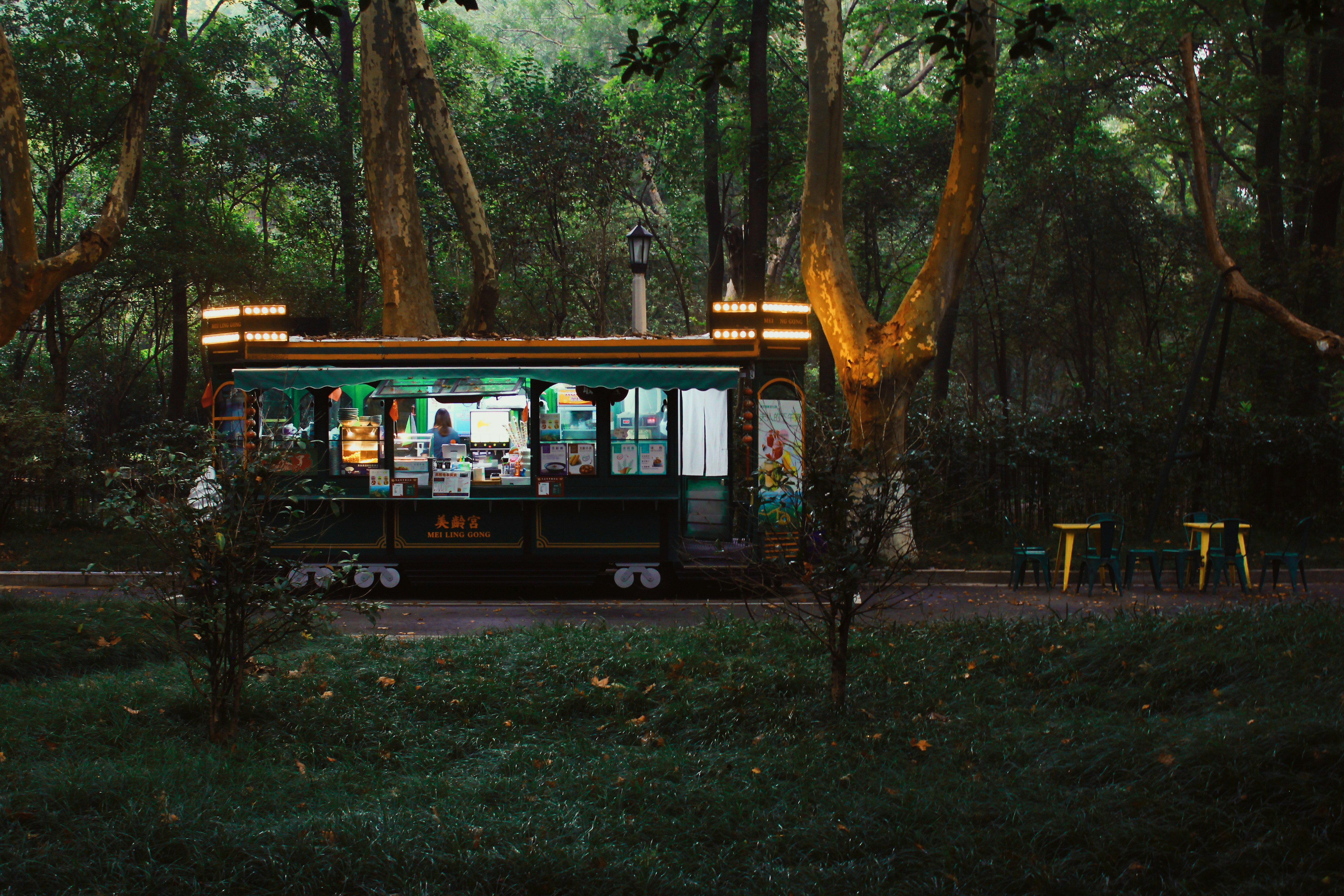 Evening Snack Bar in the Park Lantern Light