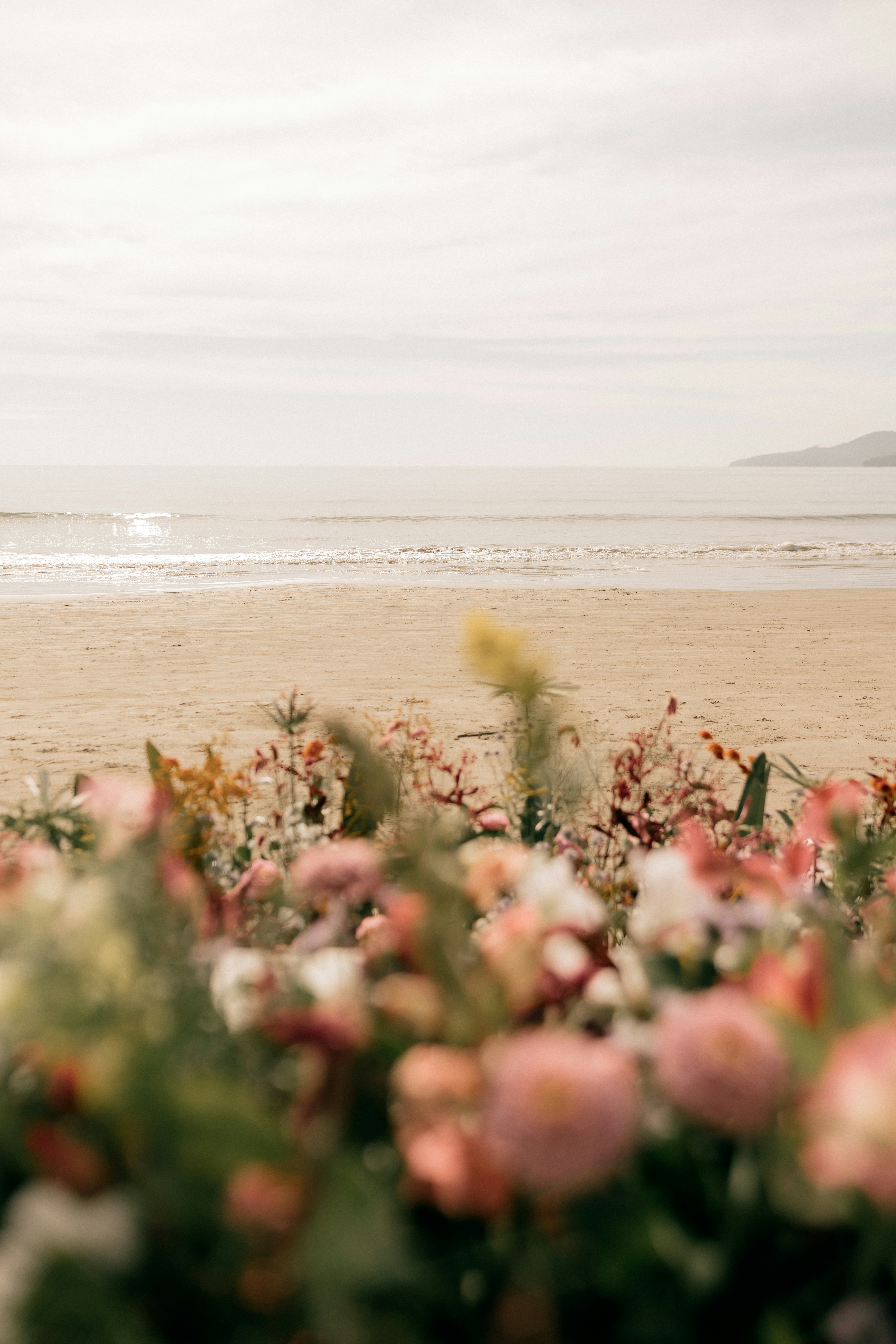 Soft-focus foreground blooms frame a calm beach and distant horizon, emphasizing airy sea and sand textures without sharp subject focus. A gentle landscape scene with hints of a coastline and floral foreground.