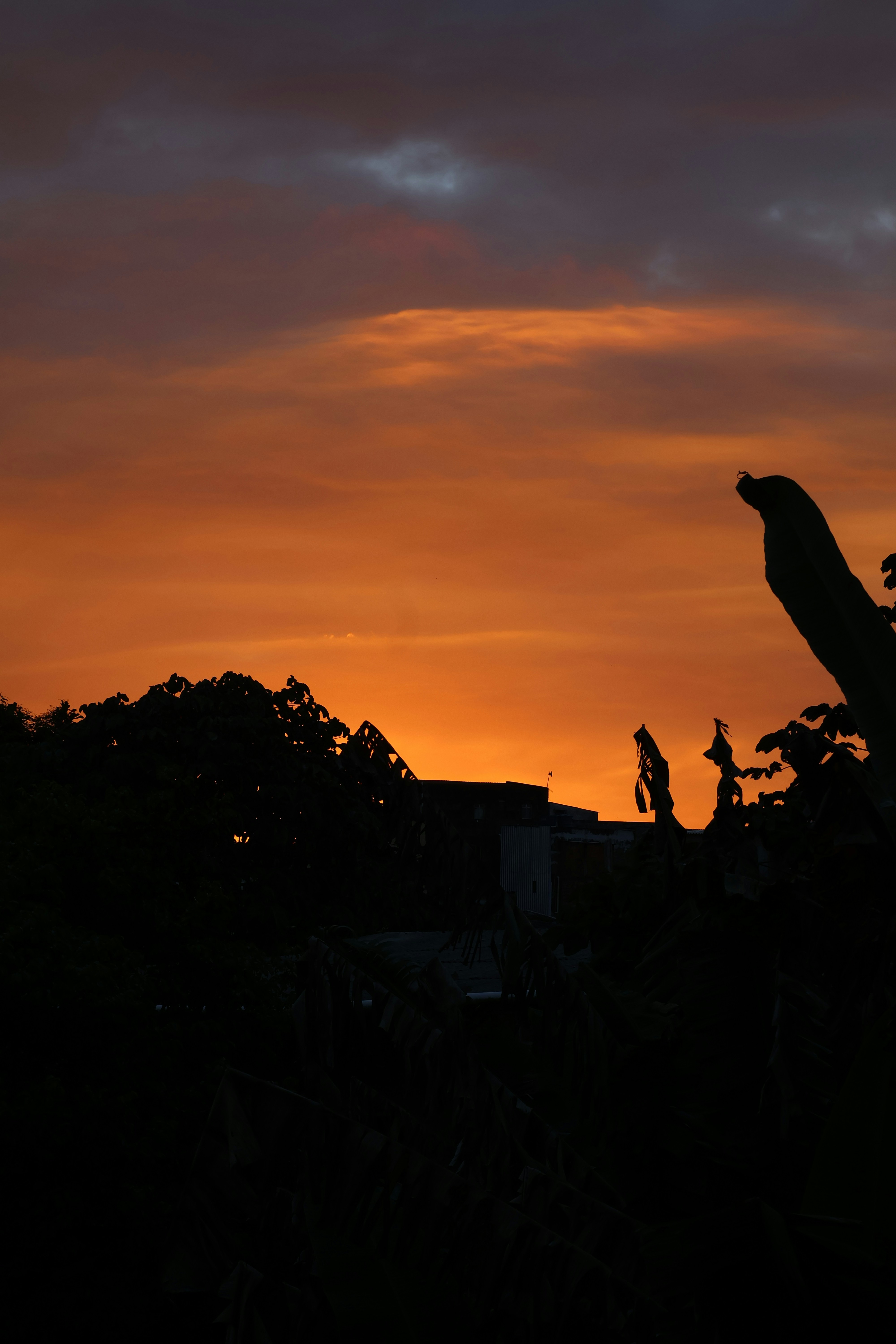 Silhouette at Dusk: Urban Horizon Against a Fiery Sky